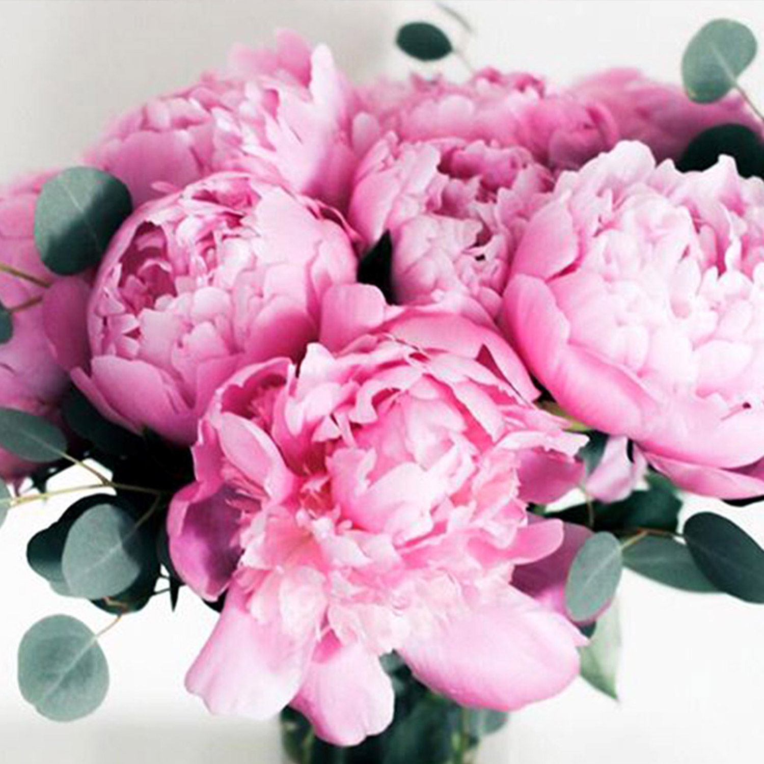 أون لاين باقة 10 ورود فاوانيا وردية فاتحة خلابة في مزهرية زجاجية أنيقة ...