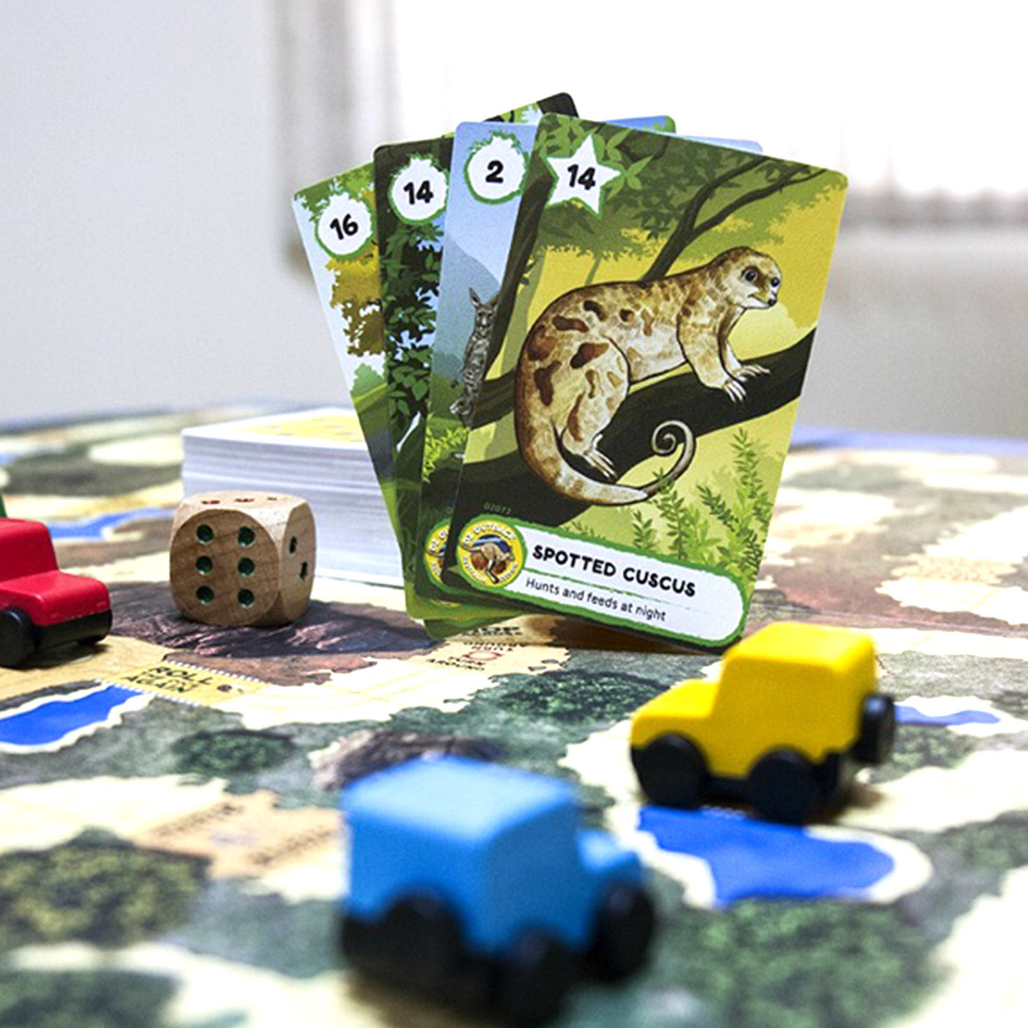 Order Australia Trail Board Game Online | Same-Day Delivery UAE - Fnp.ae