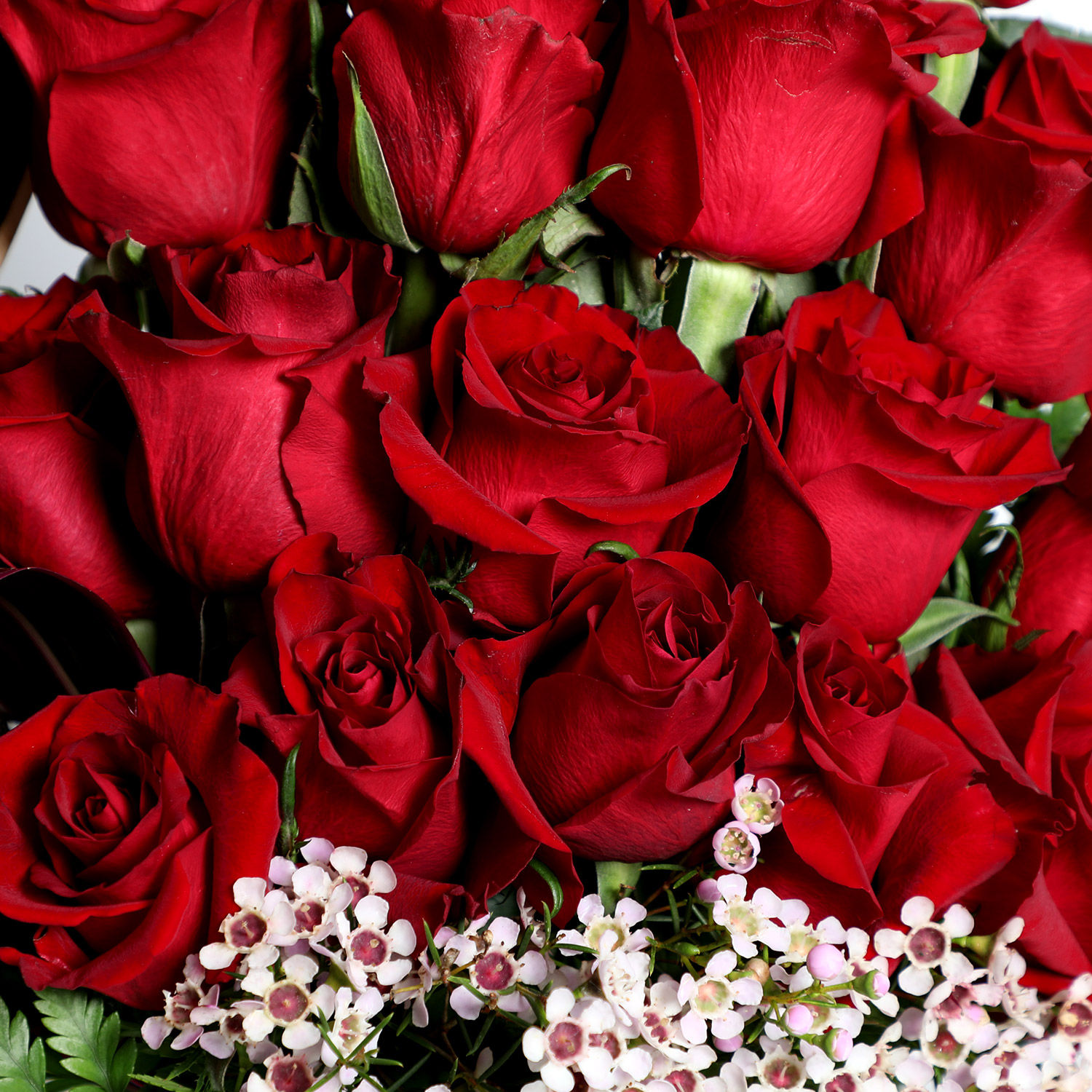 Online Forbidden Red Roses Arrangement Gift Delivery in UAE - FNP