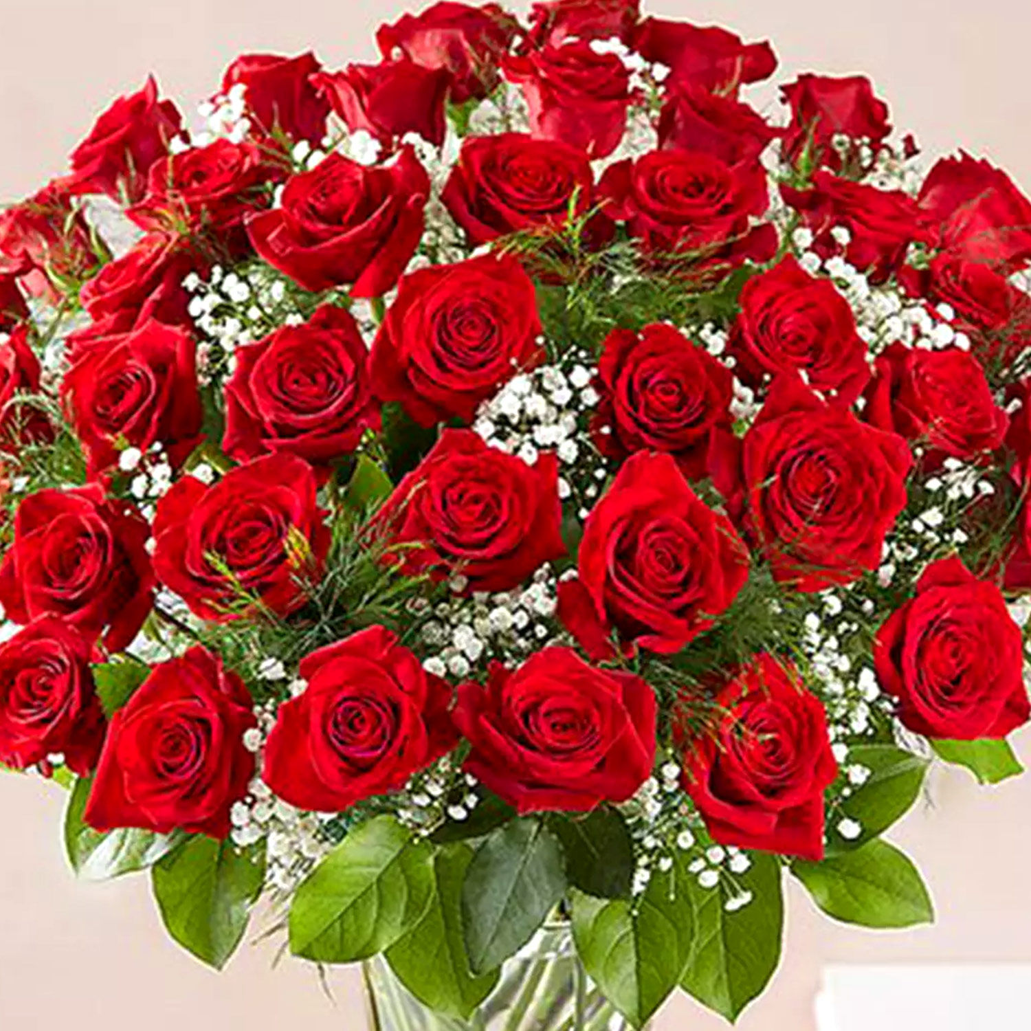 Order 1 Kg Chocolaty Red Velvet Cake With 50 Roses Arrangement Online ...