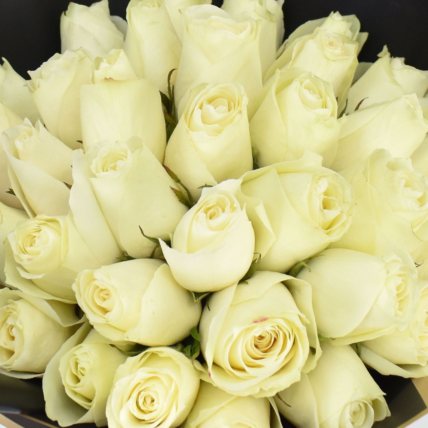Order 35 White Roses Designer Bouquet Online | Same-Day Delivery UAE ...