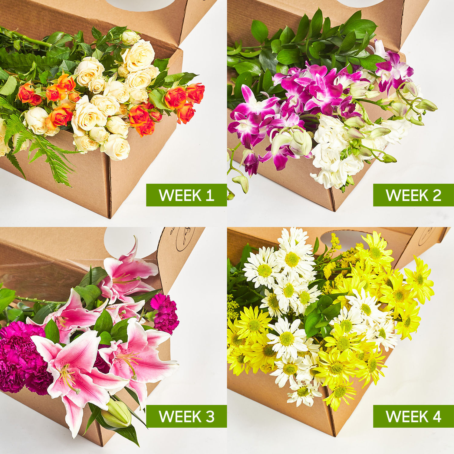 Online Flowers Weekly Subscription Gift Delivery in UAE - FNP
