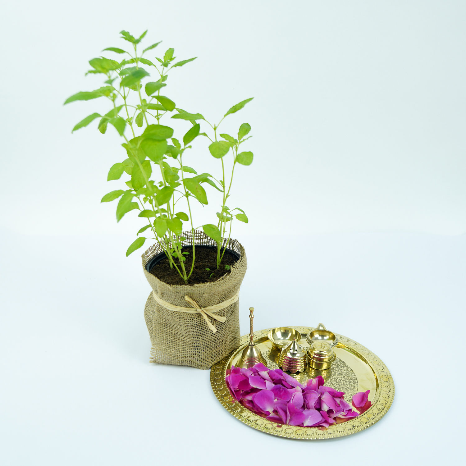 Online Tulsi Plant and Pooja Thali Gift Delivery in UAE - FNP