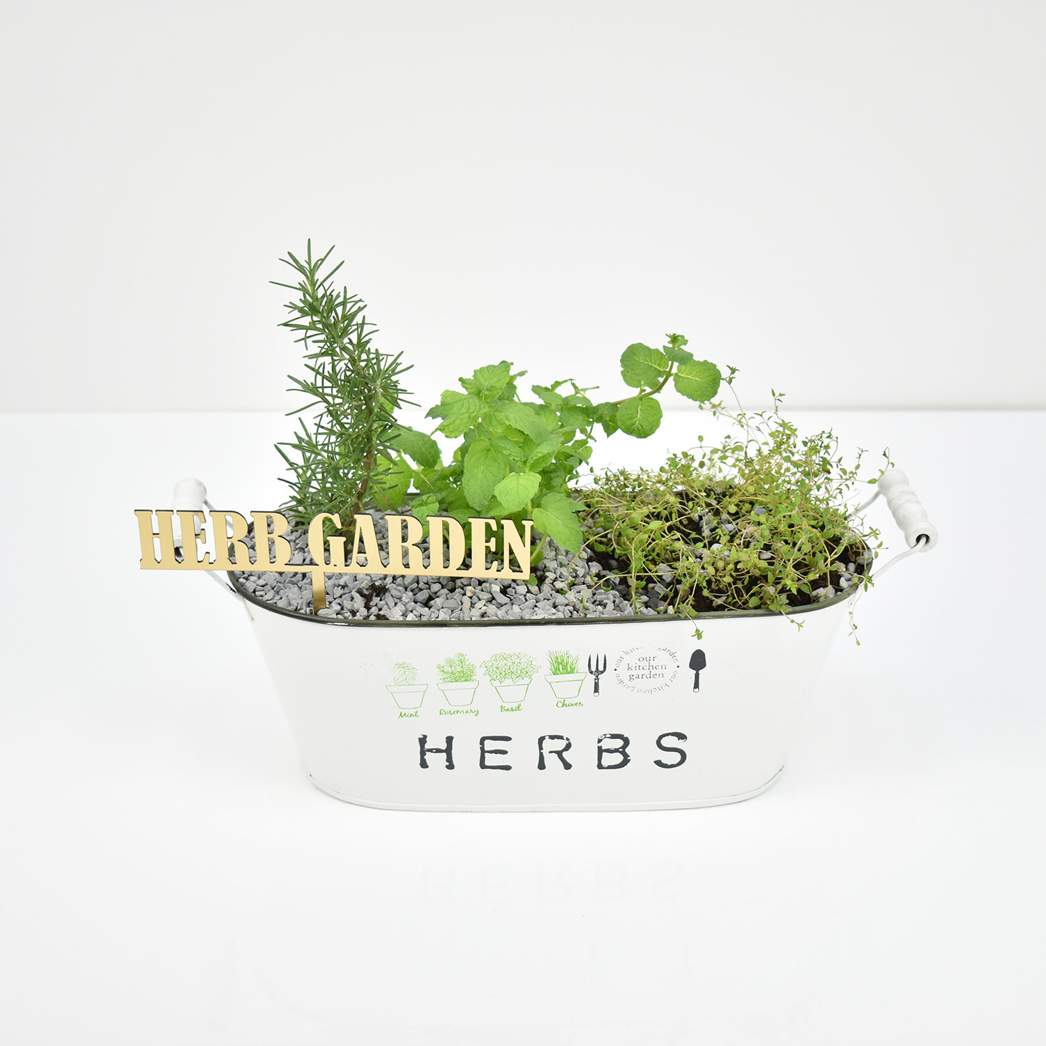 Order Garden of Three Herbs Online | Same-Day Delivery UAE - Fnp.ae
