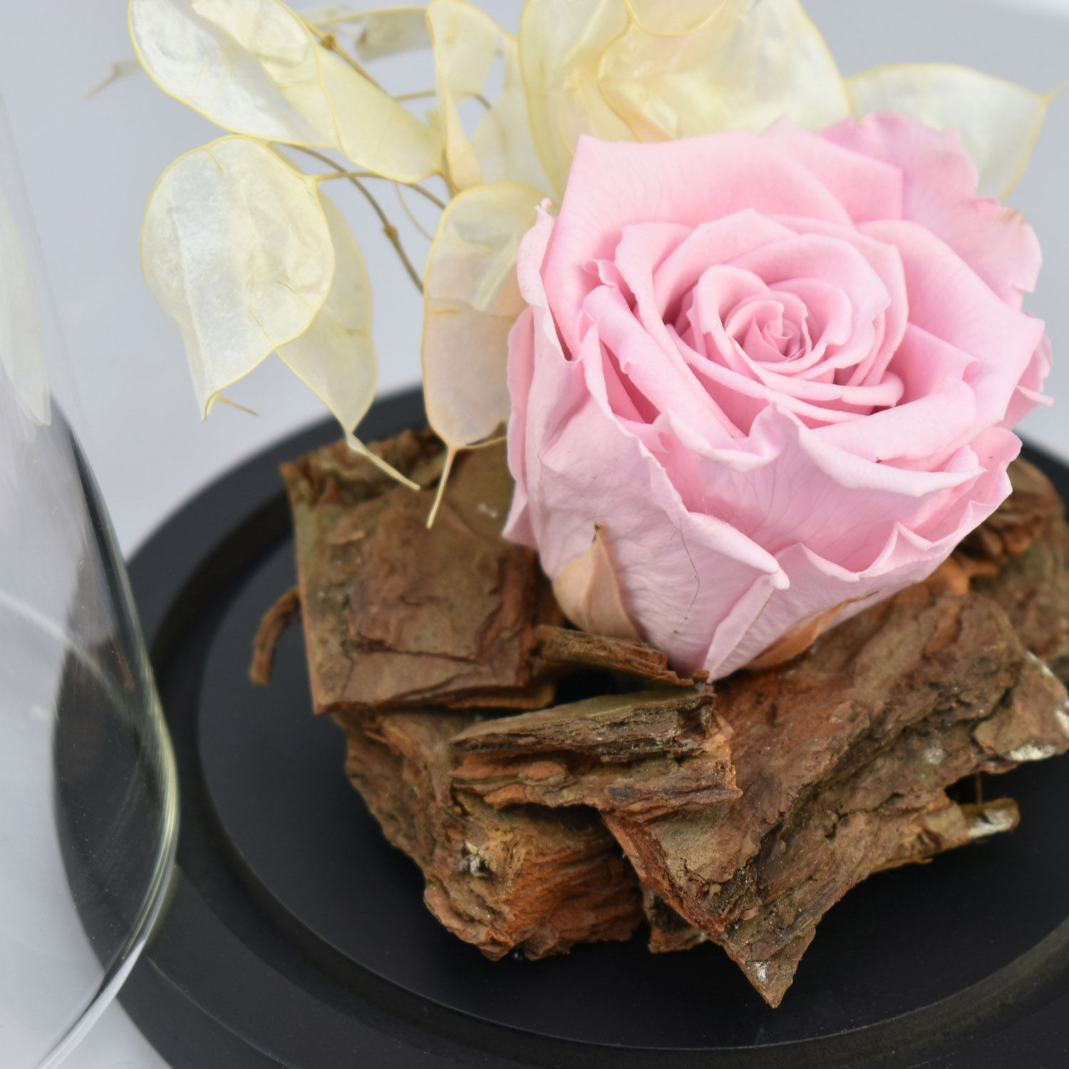 Order Graceful Pink Forever Rose in Dome Online | Same-Day Delivery UAE ...
