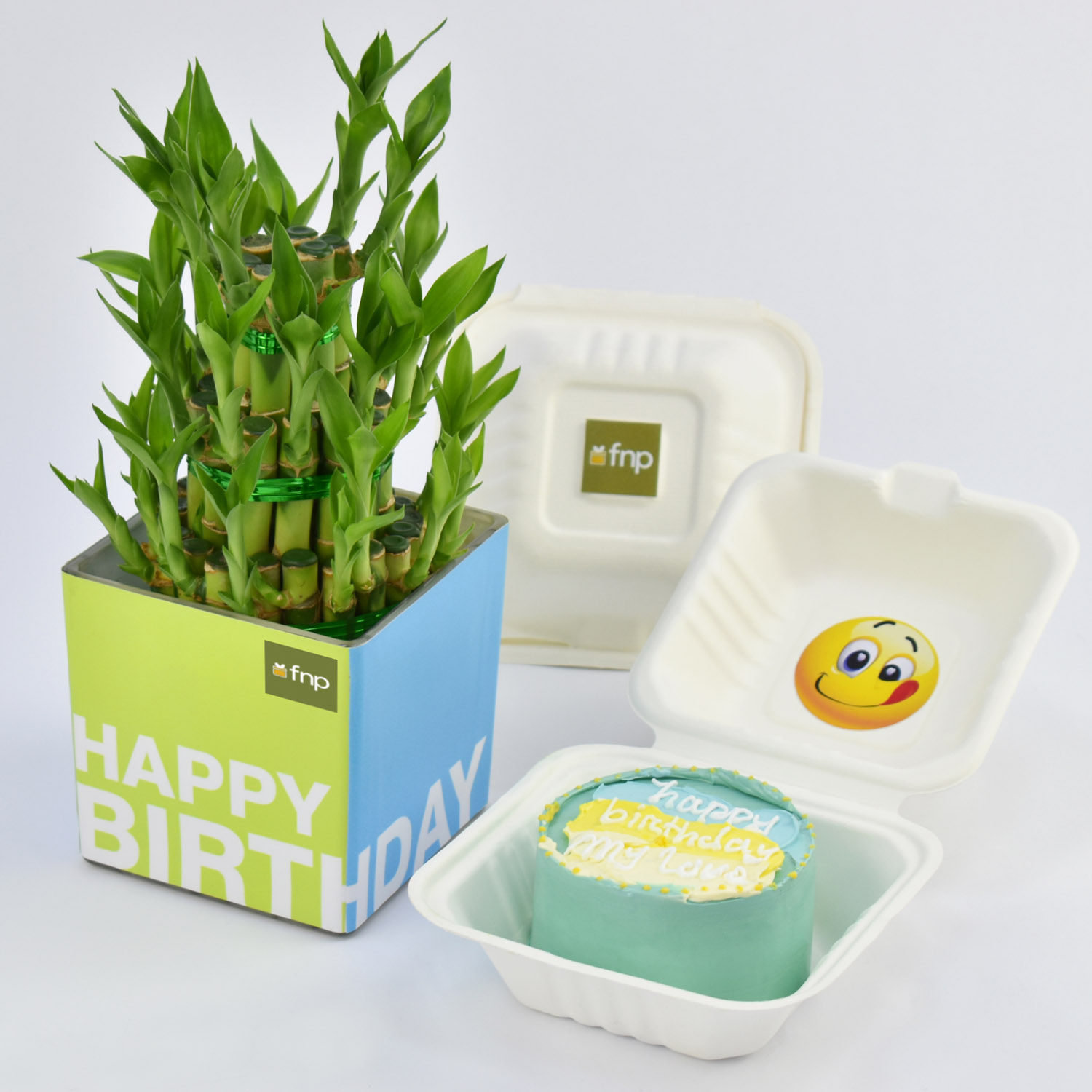 Order Happy Birthday Lunch Box Chocolate Cake with Lucky Bamboo Online ...