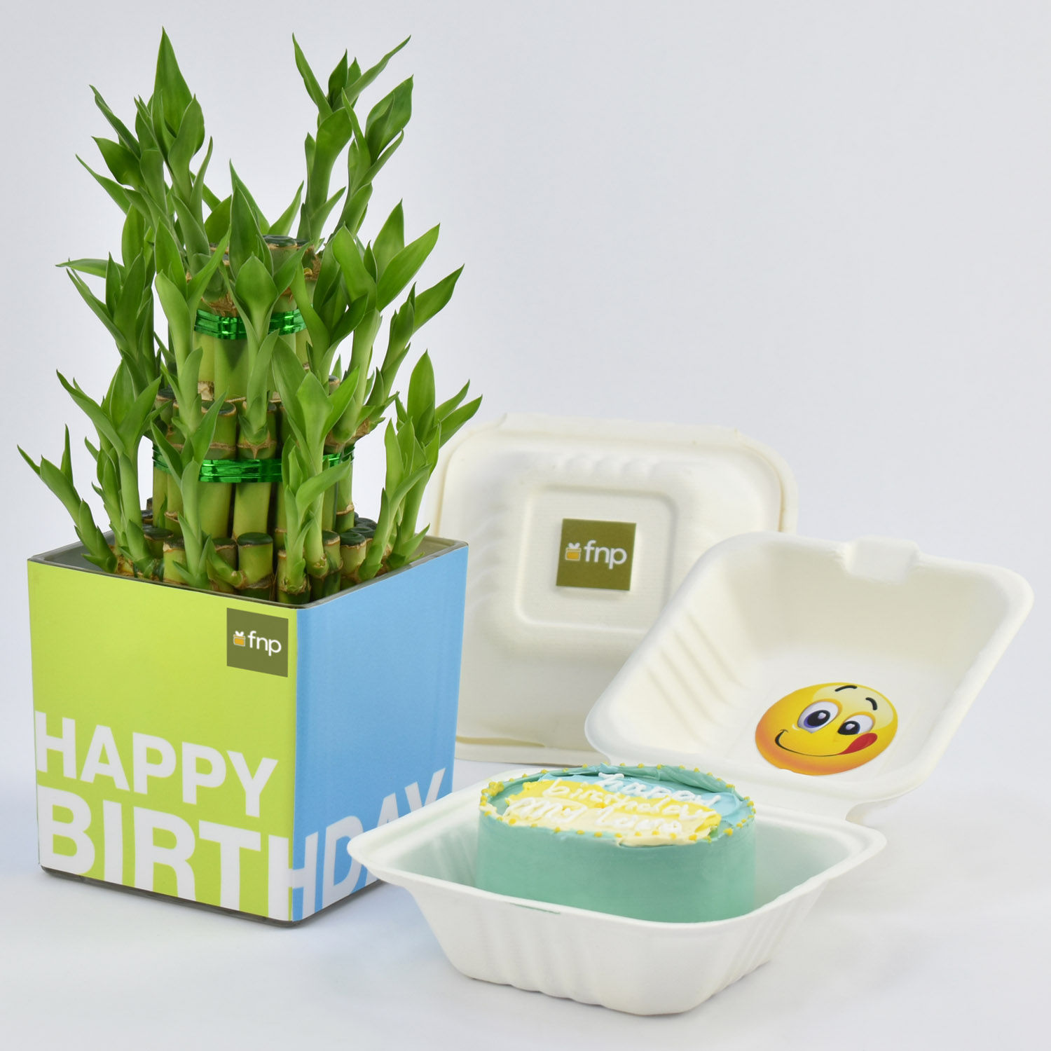 Order Happy Birthday Lunch Box Chocolate Cake with Lucky Bamboo Online ...