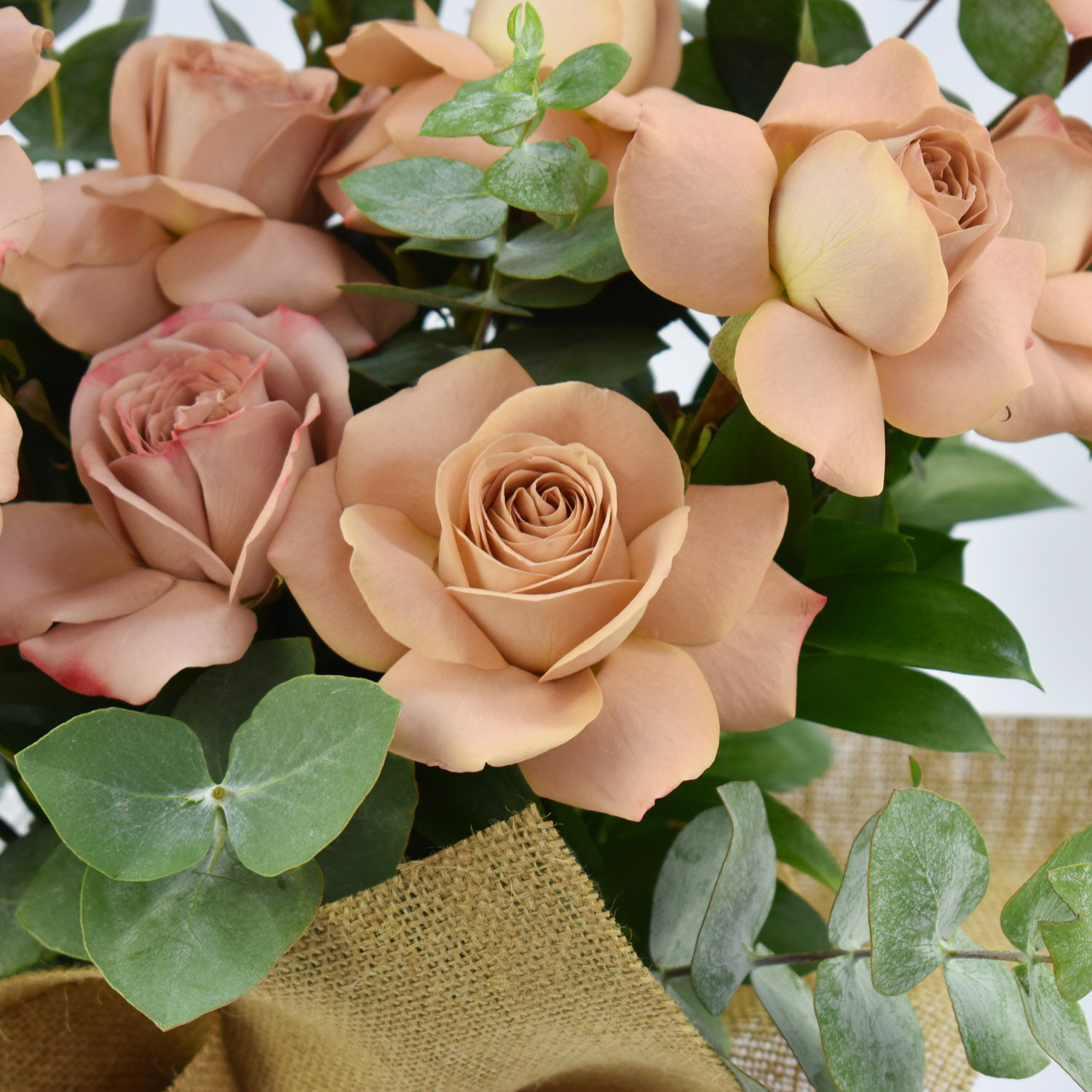 Order 12 Cappuccino Roses Bouquet Online | Same-Day Delivery UAE - Fnp.ae