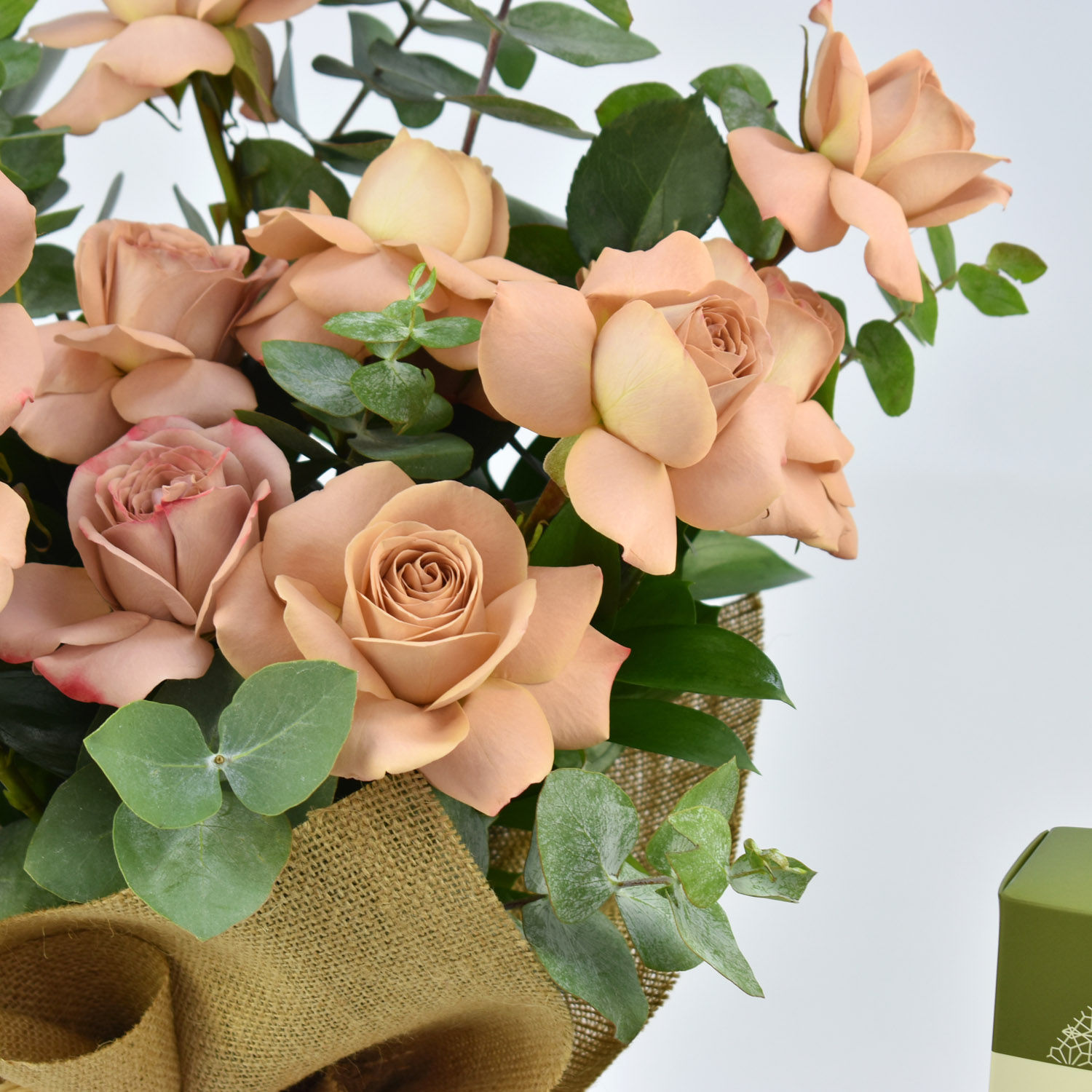 Order 12 Cappuccino Roses Bouquet Online | Same-Day Delivery UAE - Fnp.ae