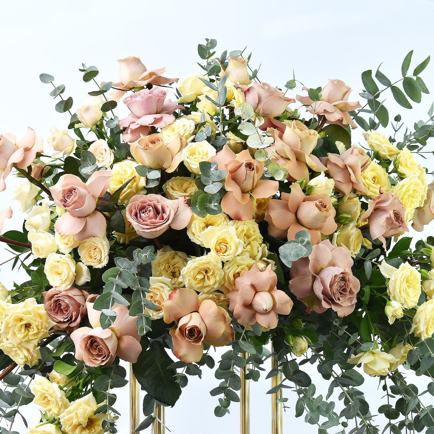Order Roses Harmony Online | Same-Day Delivery UAE - Fnp.ae