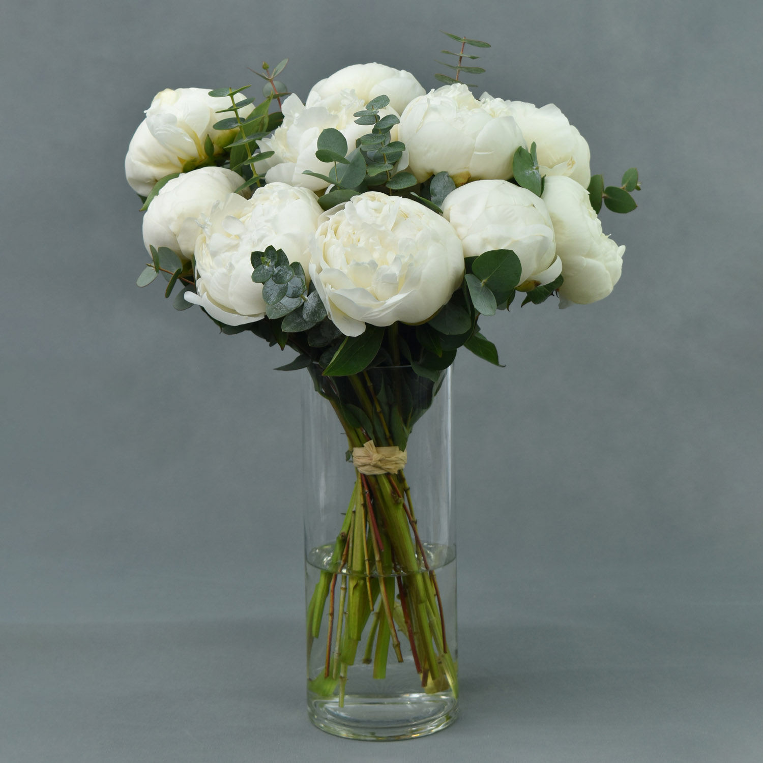 Order Perfect White Peonies Online | Same-Day Delivery UAE - Fnp.ae