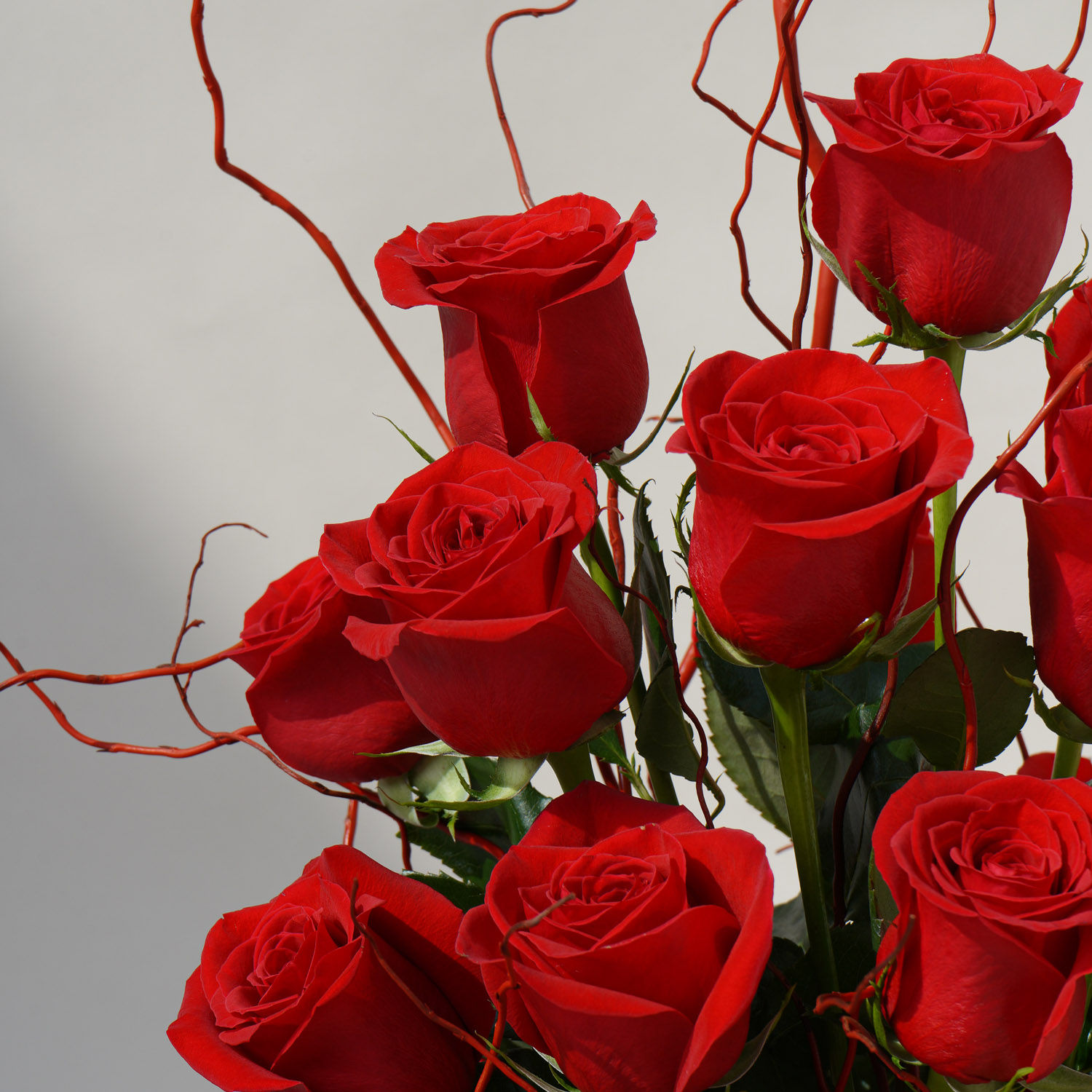 Order 22 Red Roses in a Fish Bowl Online | Same-Day Delivery UAE - Fnp.ae