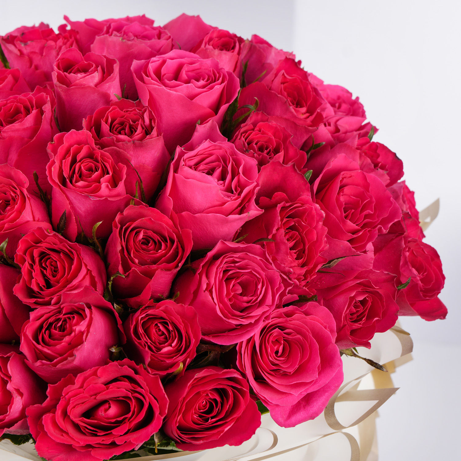 Online 50 Dark Pink Roses Bouquet Gift Delivery in UAE - FNP