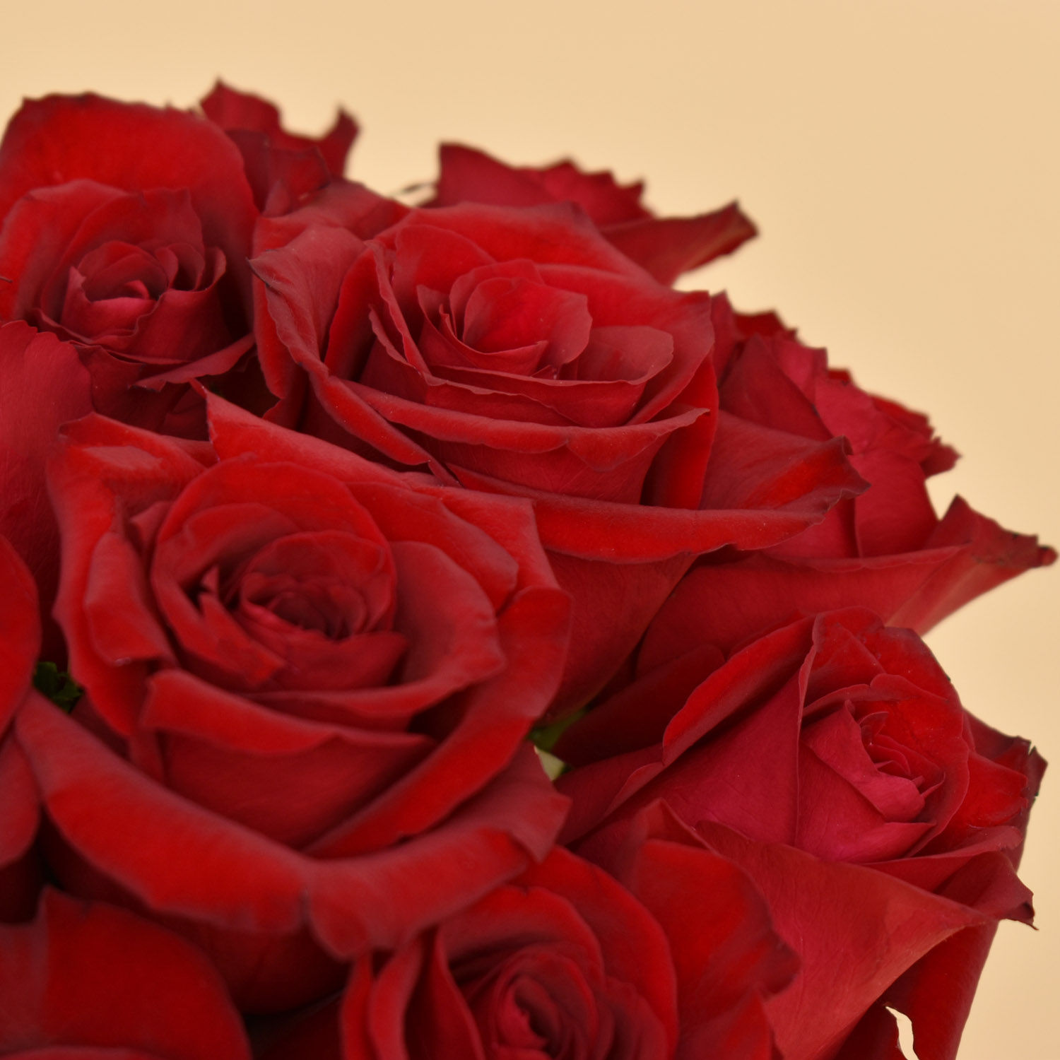 Online 15 Roses in a Vase Gift Delivery in UAE - FNP