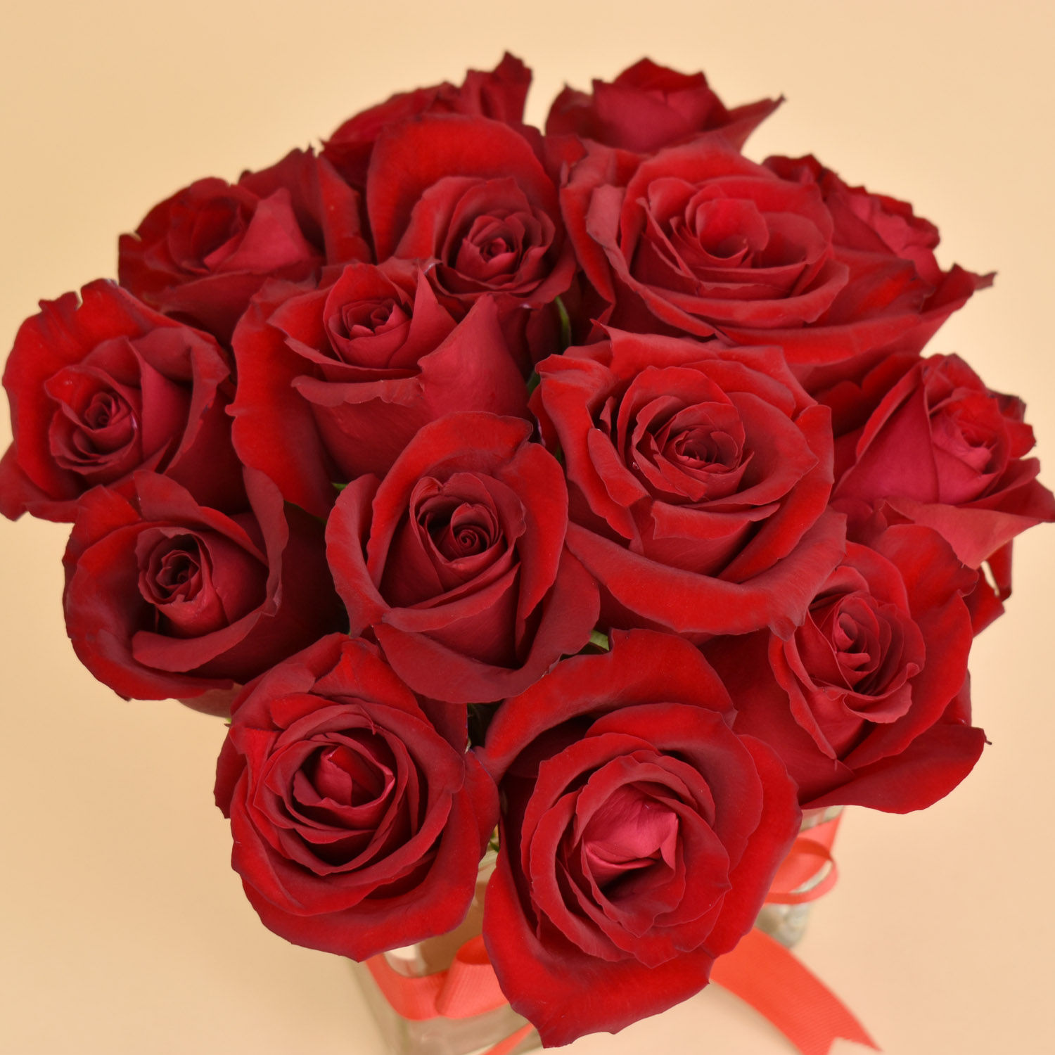 Online 15 Roses in a Vase Gift Delivery in UAE - FNP