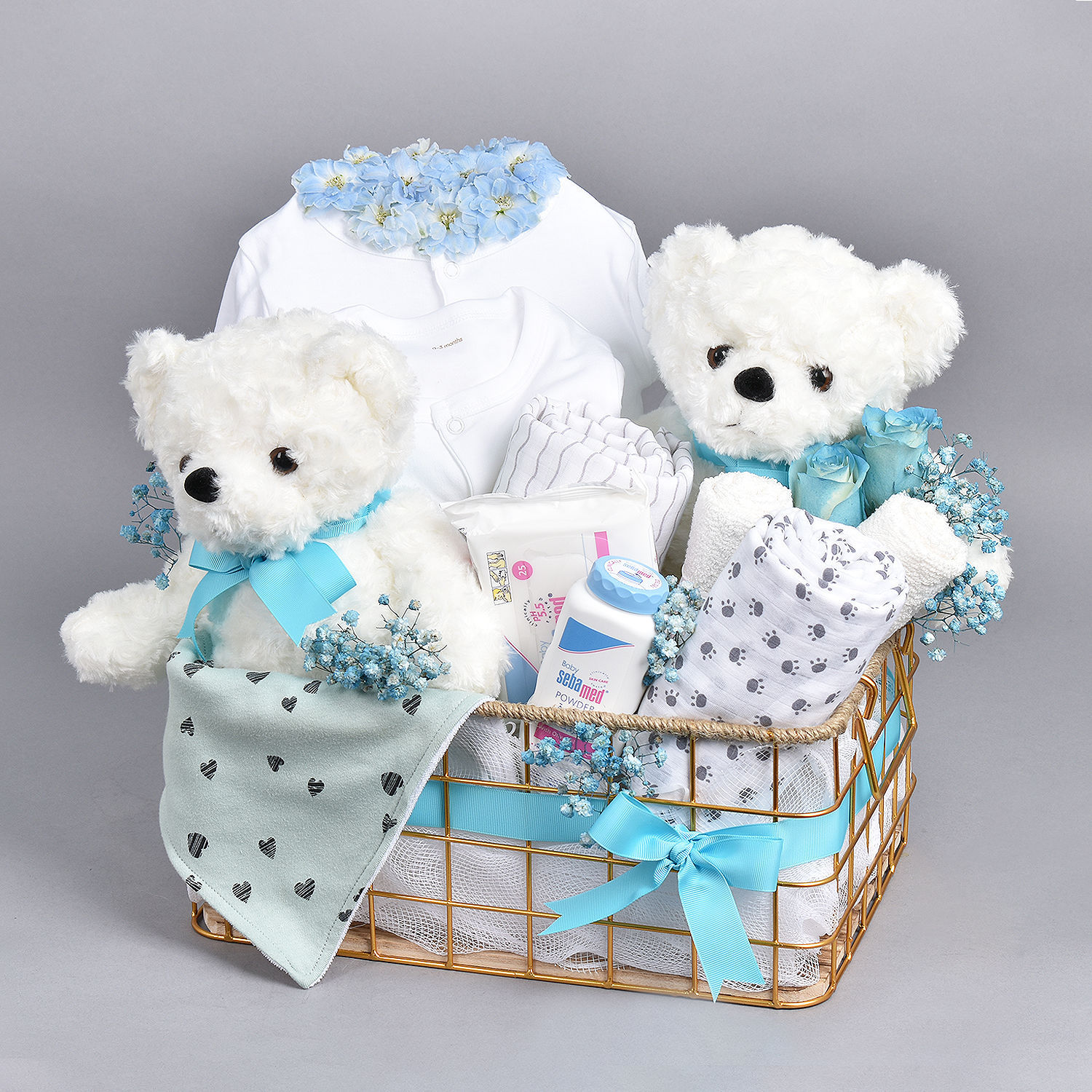 Online Double Joy New Born Baby Hamper For Twins Gift Delivery in UAE - FNP