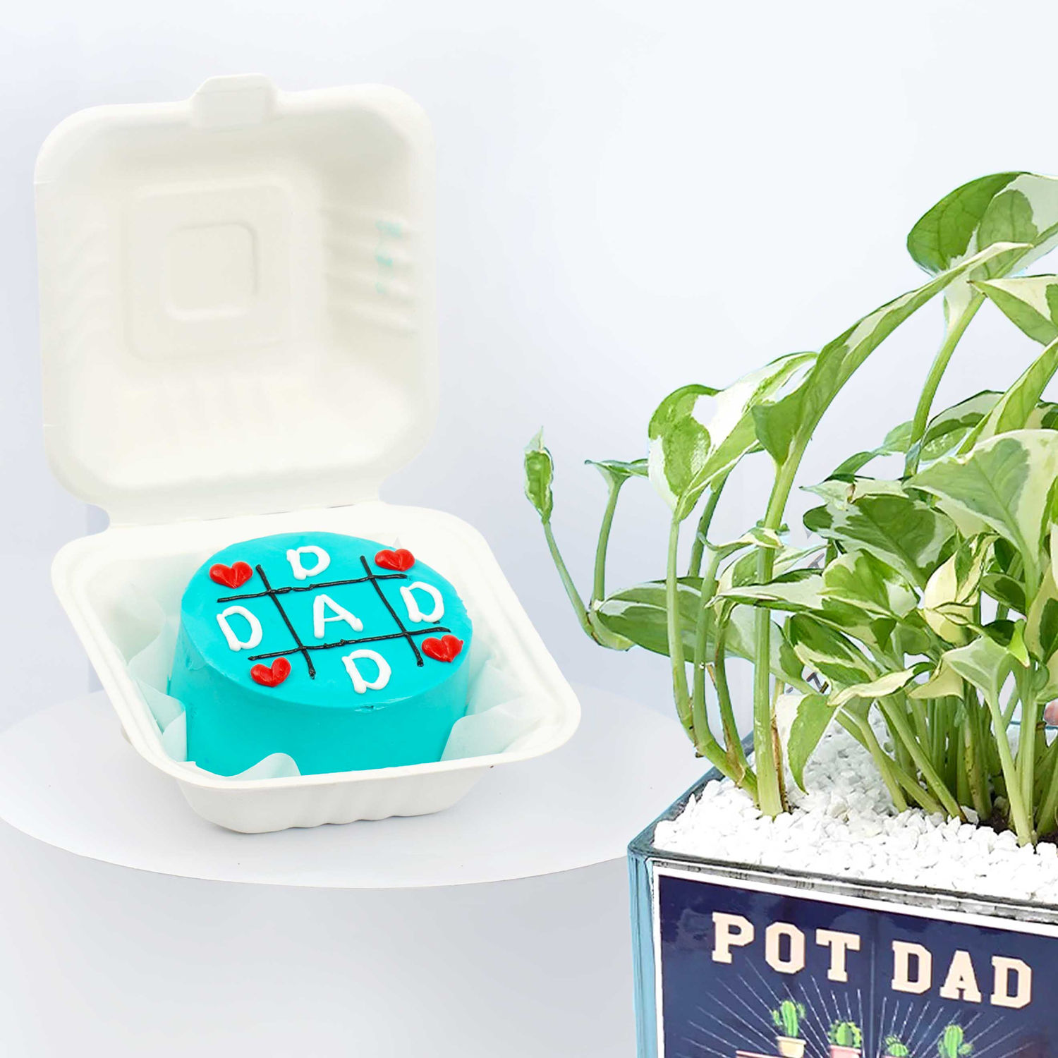Online Pot Dad Plant and Cake Combo Gift Delivery in UAE - FNP