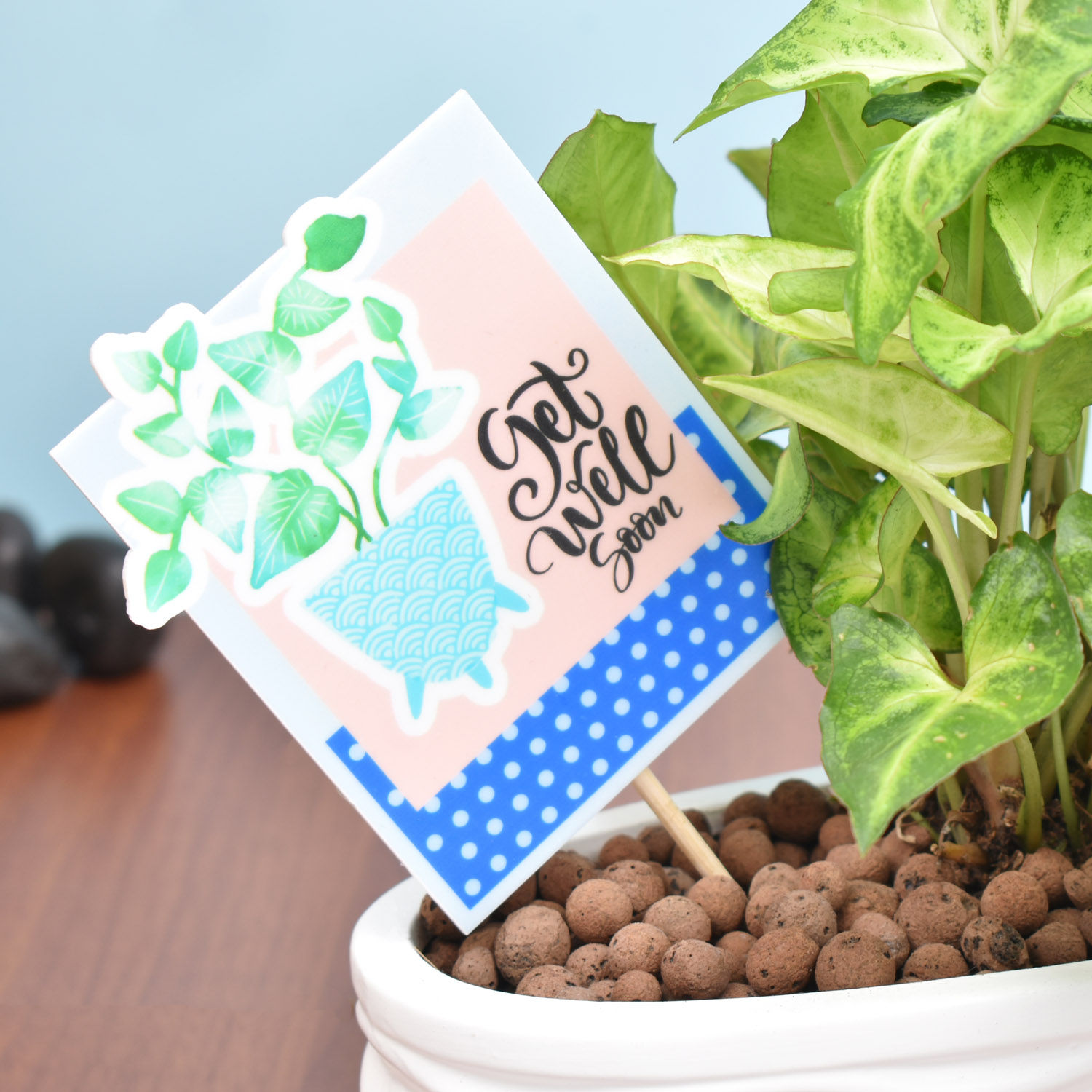 Order Get Well Soon Wishes Plant Online | Same-Day Delivery UAE - Fnp.ae