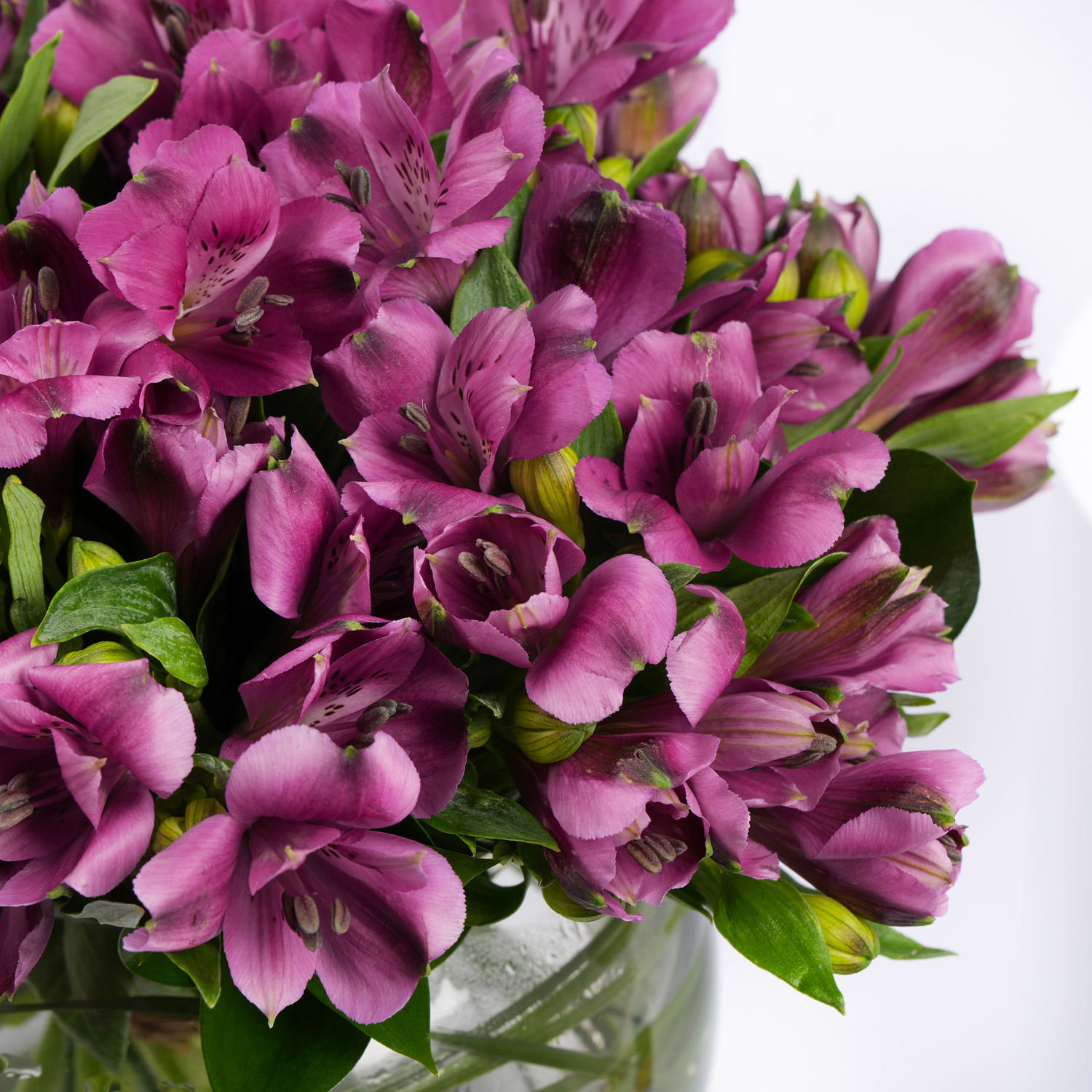 Online Purple Peruvian Lily Arrangement Gift Delivery in UAE - FNP