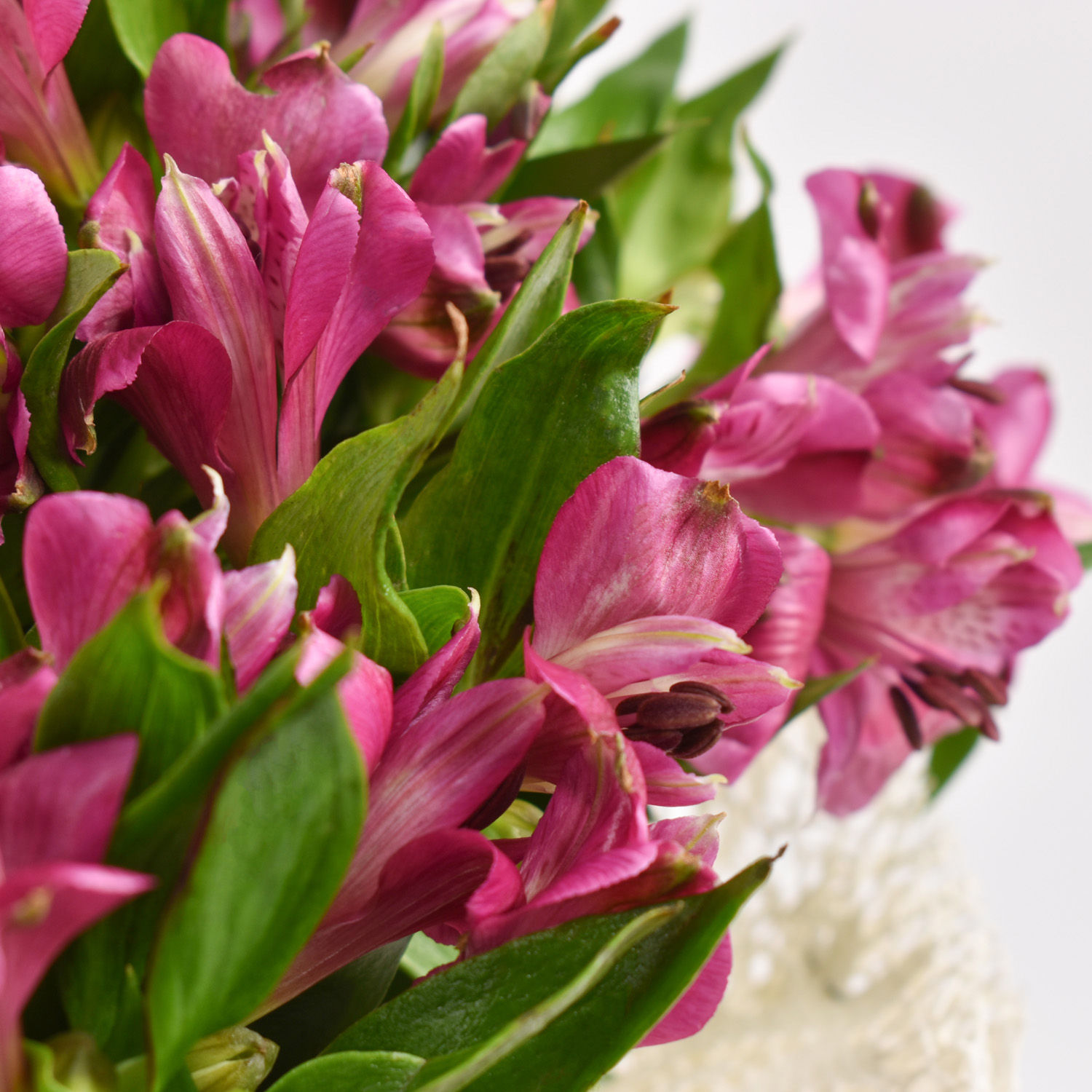 Order Purple Peruvian Lily Bouquet Online | Same-Day Delivery UAE - Fnp.ae