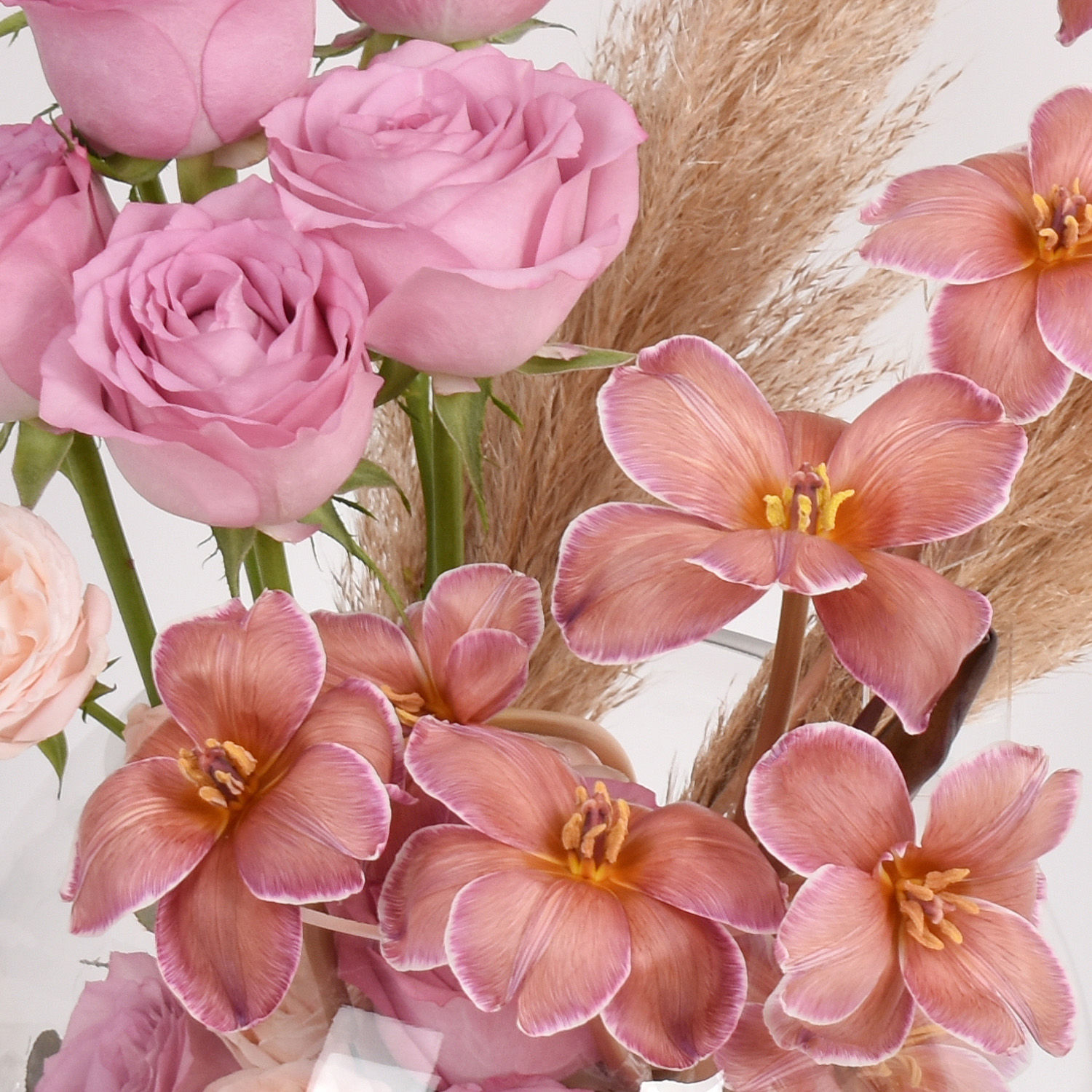 Order Tulips and Roses in Fish Bowl Online | Same-Day Delivery UAE - Fnp.ae