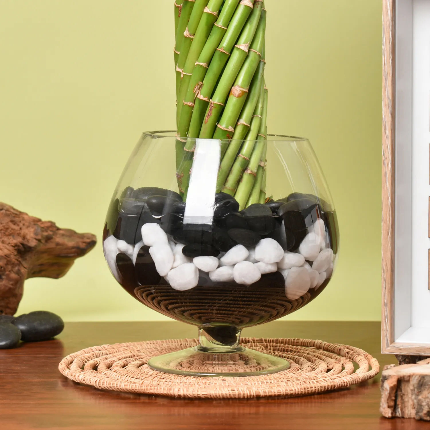 Order Lucky Bamboo Wheel Plant with Love Frame Online | Same-Day ...