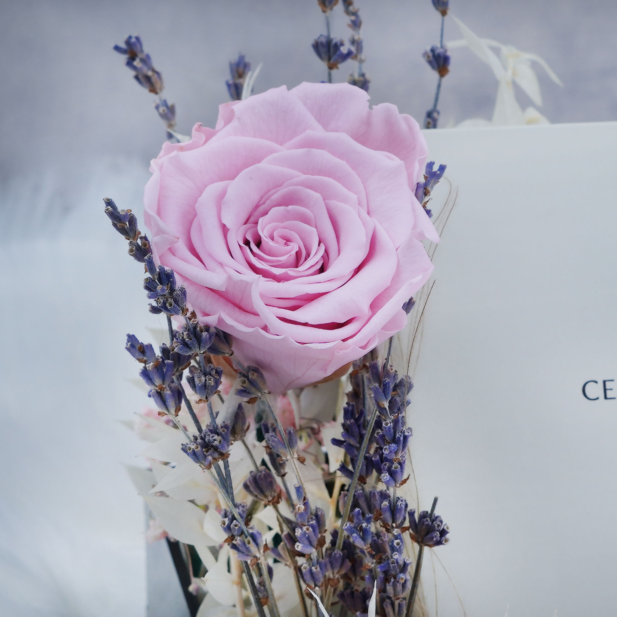 Order Cerruti 1881 Jewellery and Flowers Gift Set for Her Online | Same ...