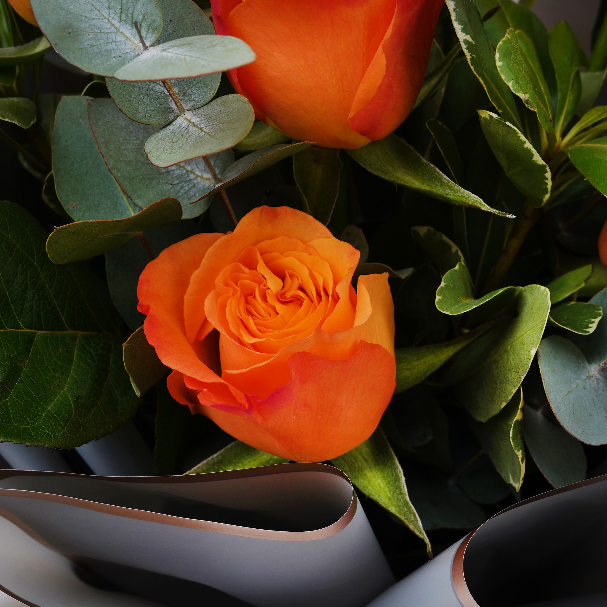Order Bouquet Of Orange Roses Standard Online | Same-Day Delivery UAE ...