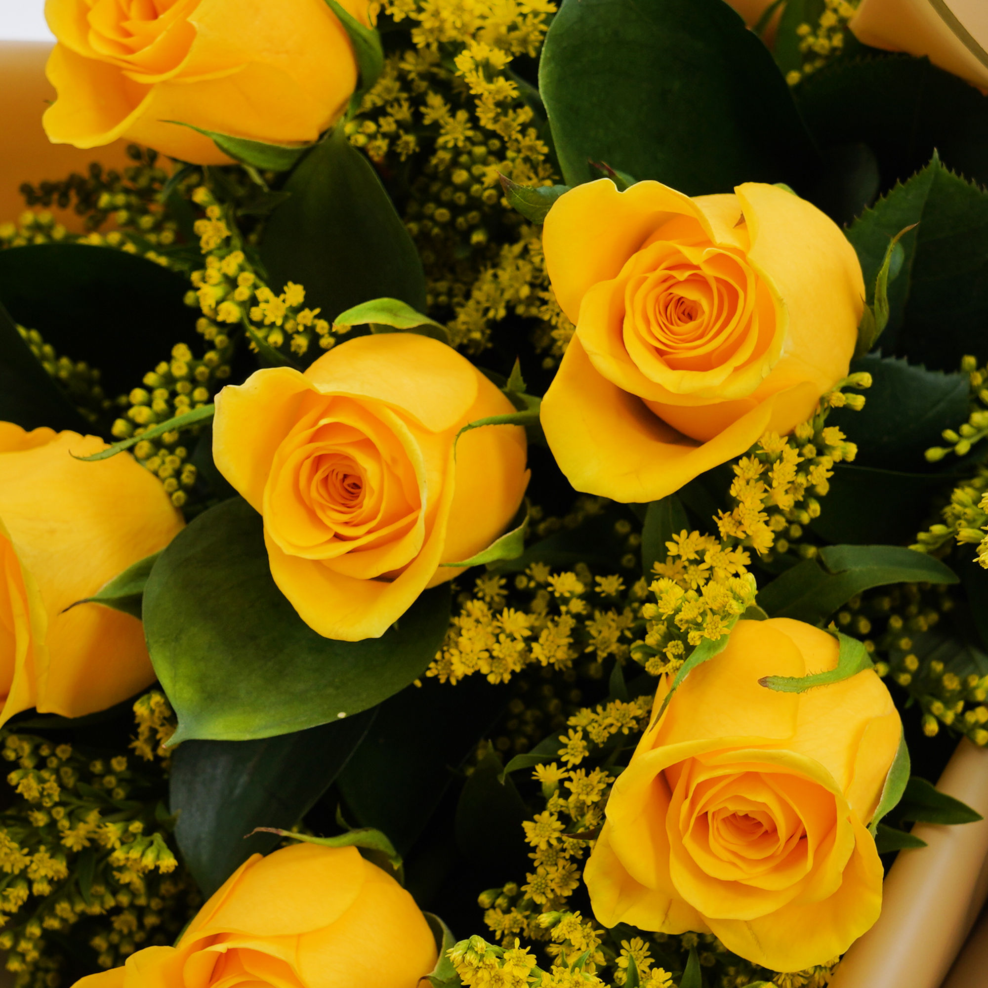 Order Yellow Roses Bouquet Online | Same-Day Delivery UAE - Fnp.ae