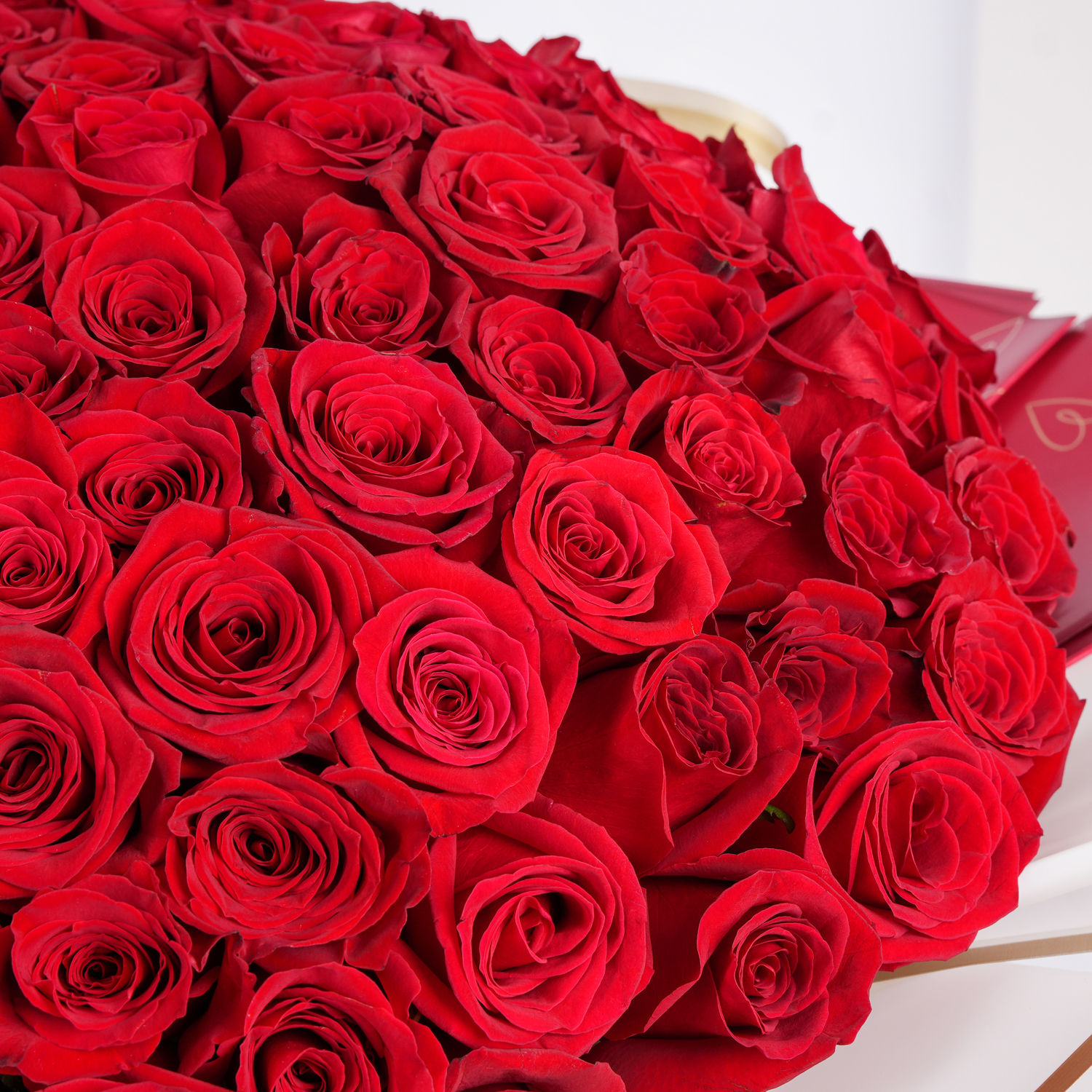 Order 99 Majestic Red Roses Online | Same-Day Delivery UAE - Fnp.ae