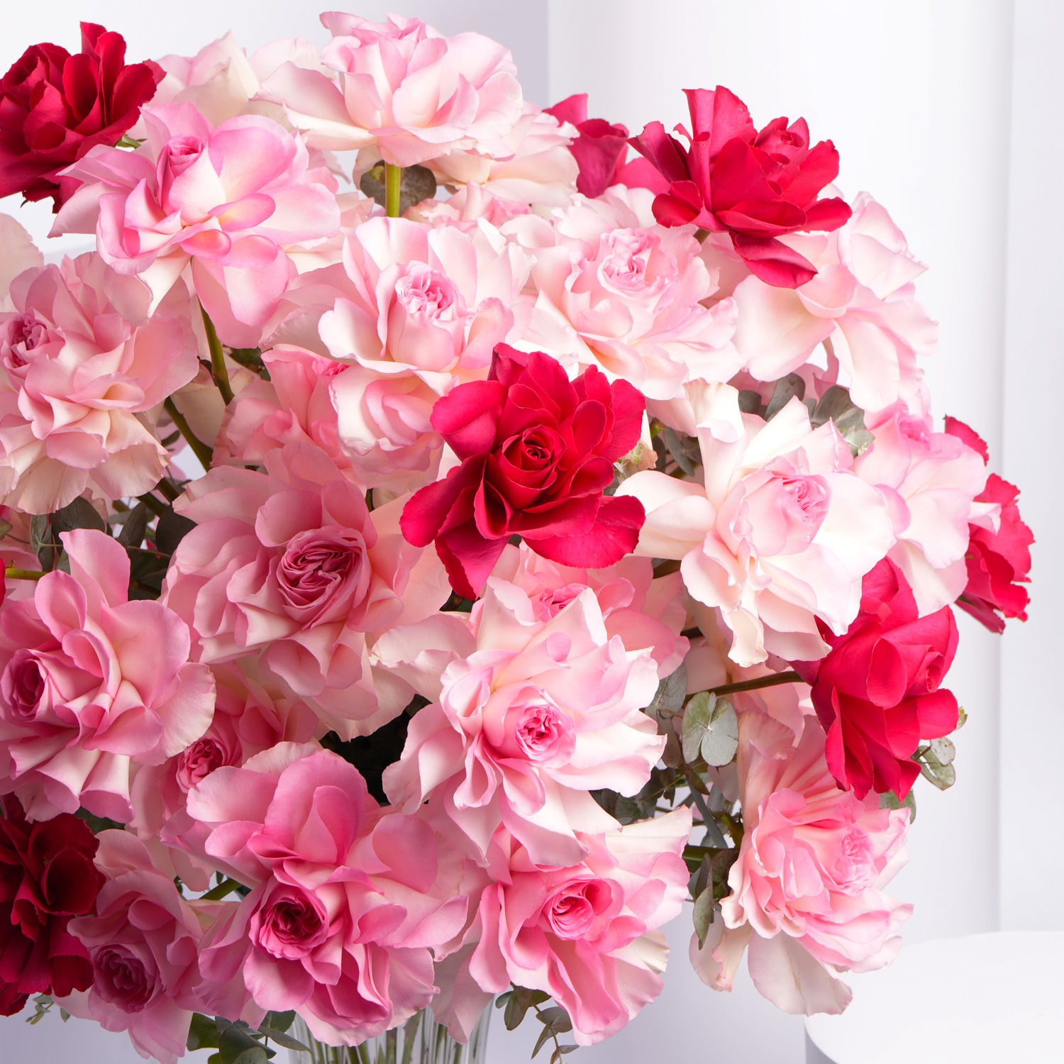 Order Bunch of 50 Gorgeous Pink Roses Online | Same-Day Delivery UAE ...