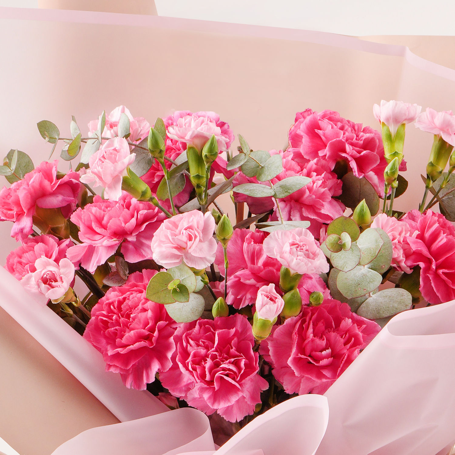 Order Birthday Wish Carnations Bouquet Online | Same-Day Delivery UAE ...