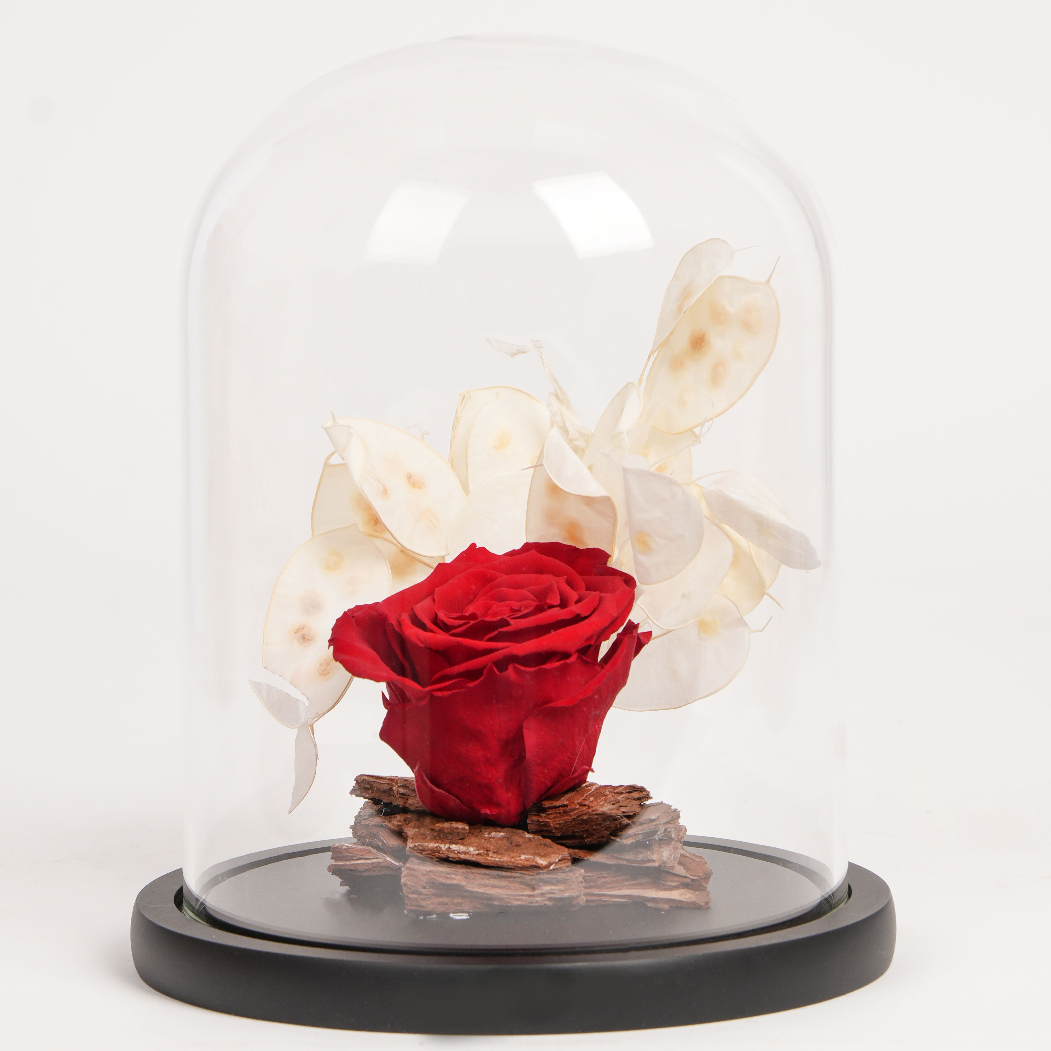 Order Forever Red Rose in Glass Dome Online | Same-Day Delivery UAE ...