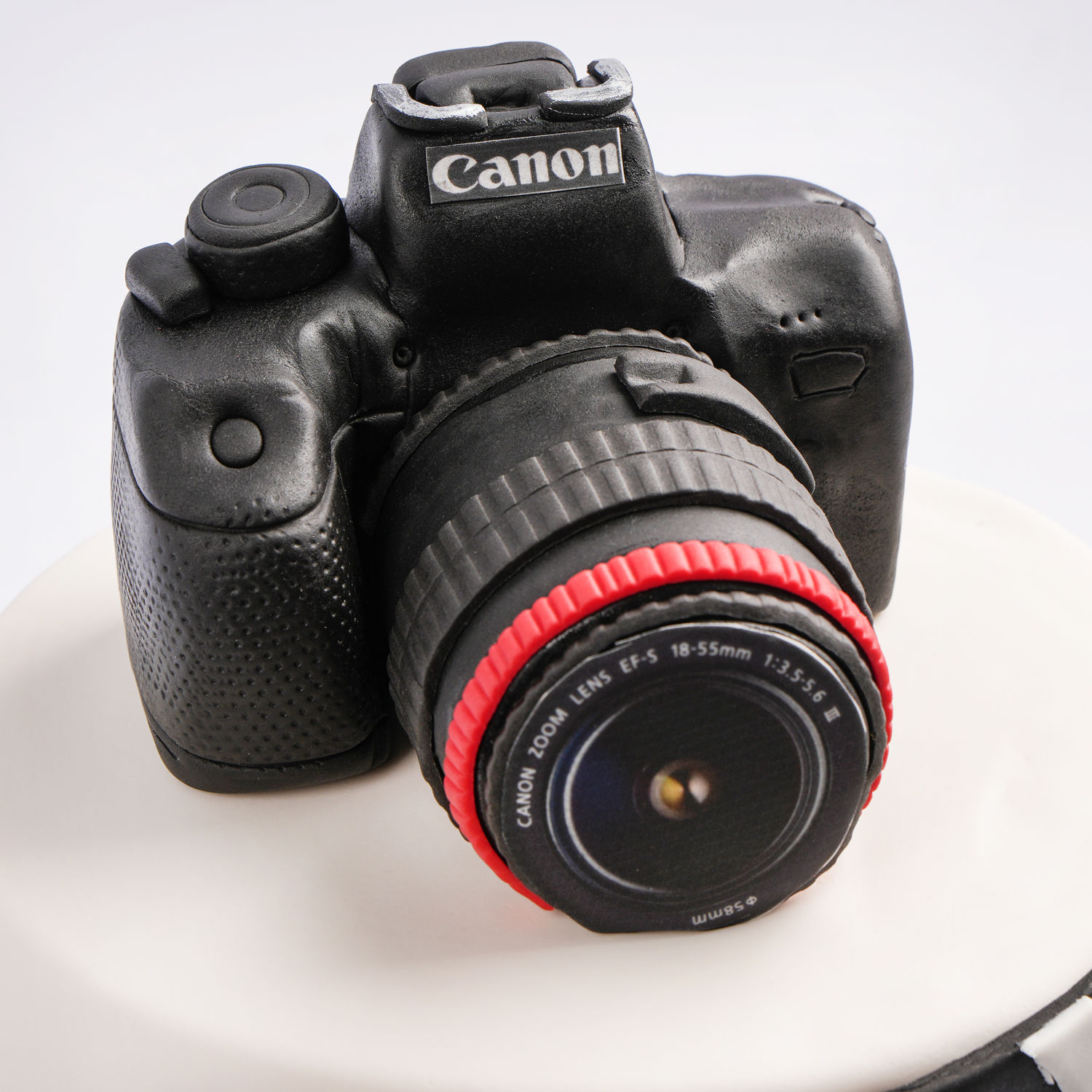 Order Fondant Camera Cake 2.5 kg Online | Same-Day Delivery UAE - Fnp.ae