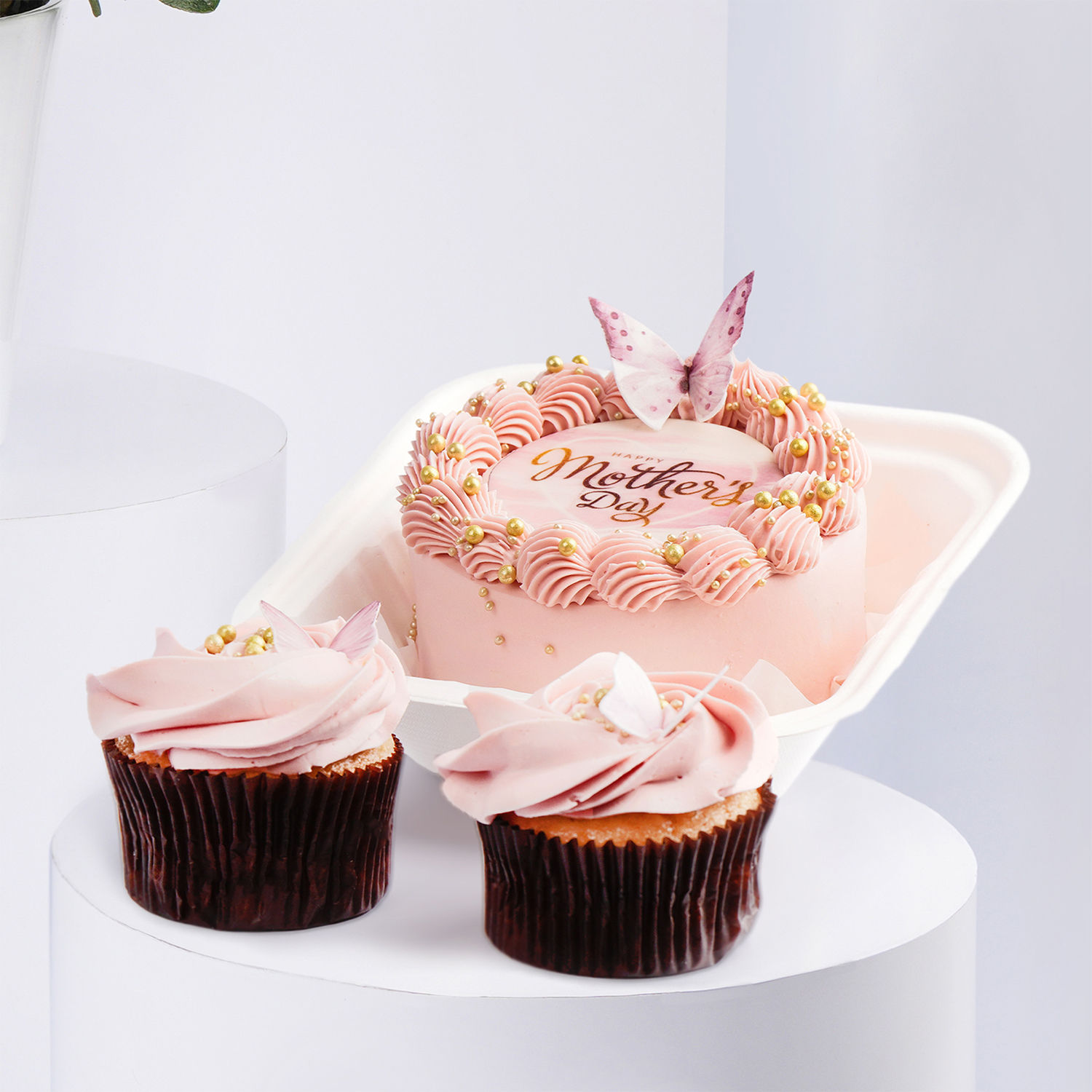 Order Azalea Plant With Bento Cake And Cupcakes Online | Same-Day ...