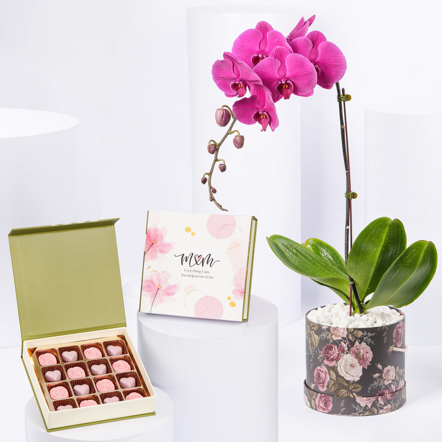 Order Orchid Plant And Chocolates Online | Same-Day Delivery UAE - Fnp.ae
