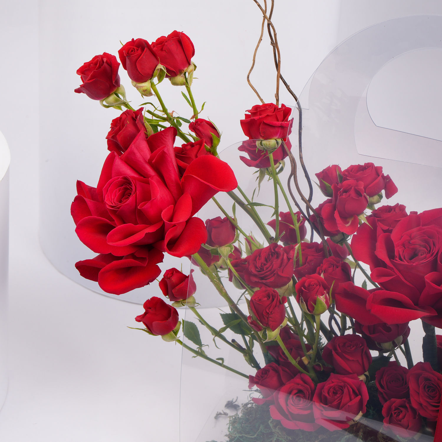 Order Bag of Roses For You Online | Same-Day Delivery UAE - Fnp.ae