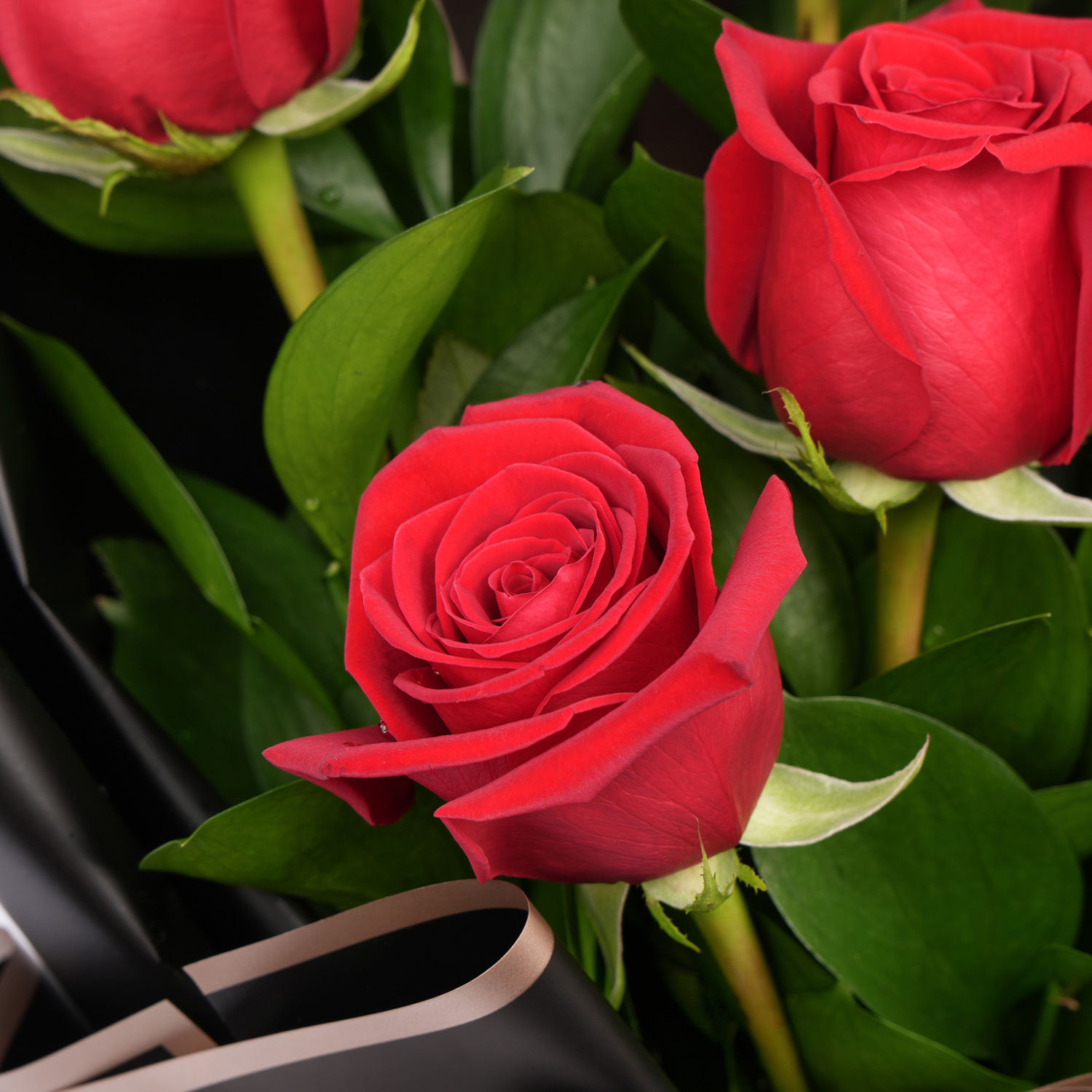 Order Bunch of Beautiful 6 Red Rose Online | Same-Day Delivery UAE - Fnp.ae