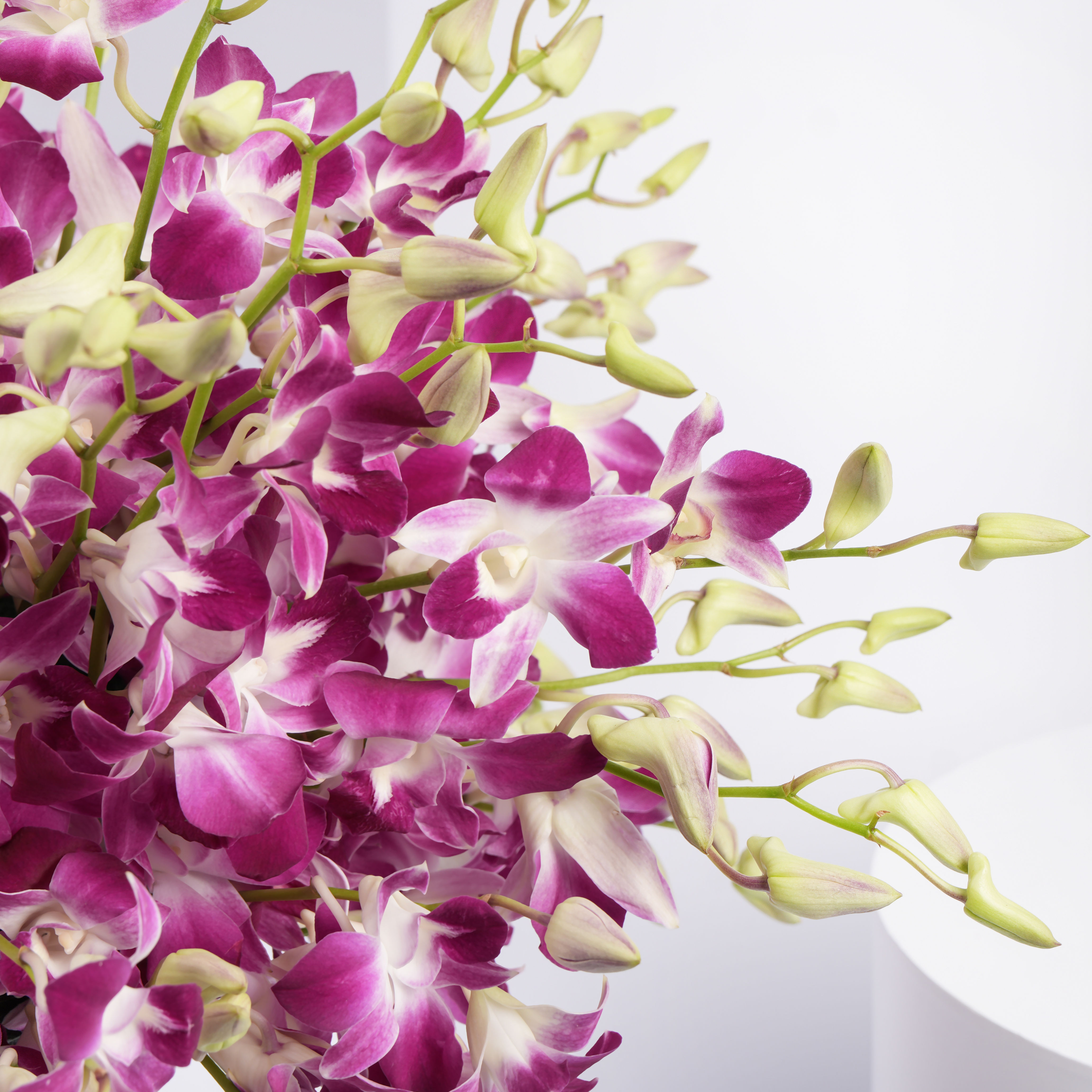 Order Pink Orchid Flower Arrangement Online | Same-Day Delivery UAE ...