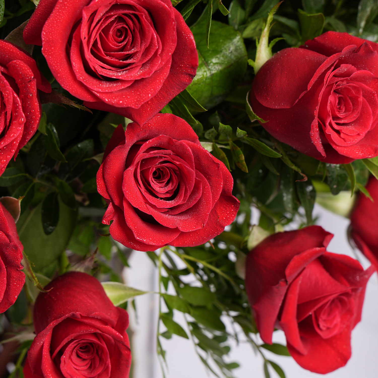 Order Ravishing 100 Red Roses In Glass Vase Online | Same-Day Delivery ...