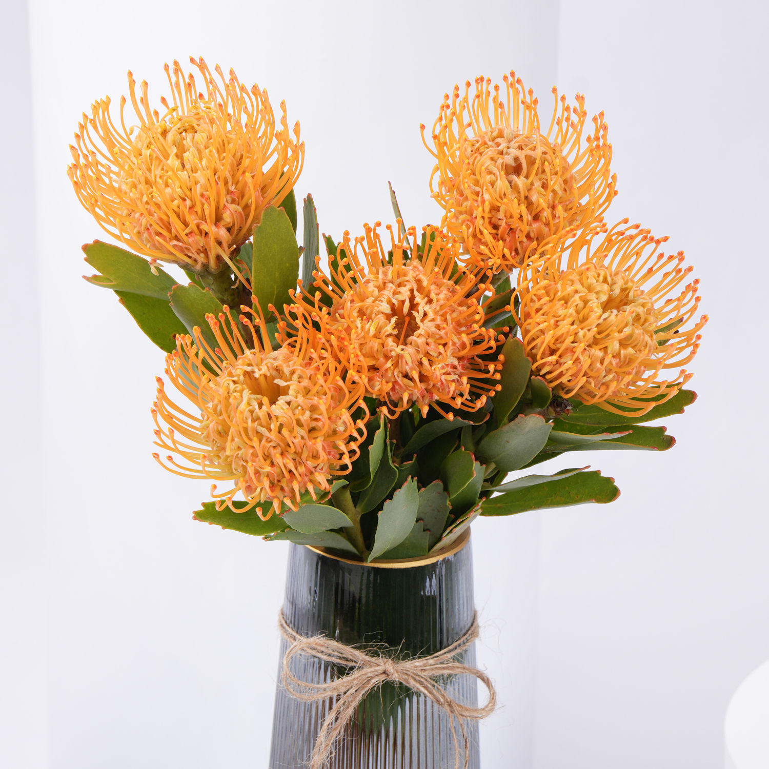 Order Pin Cushion Flowers In Vase Online | Same-Day Delivery UAE - Fnp.ae