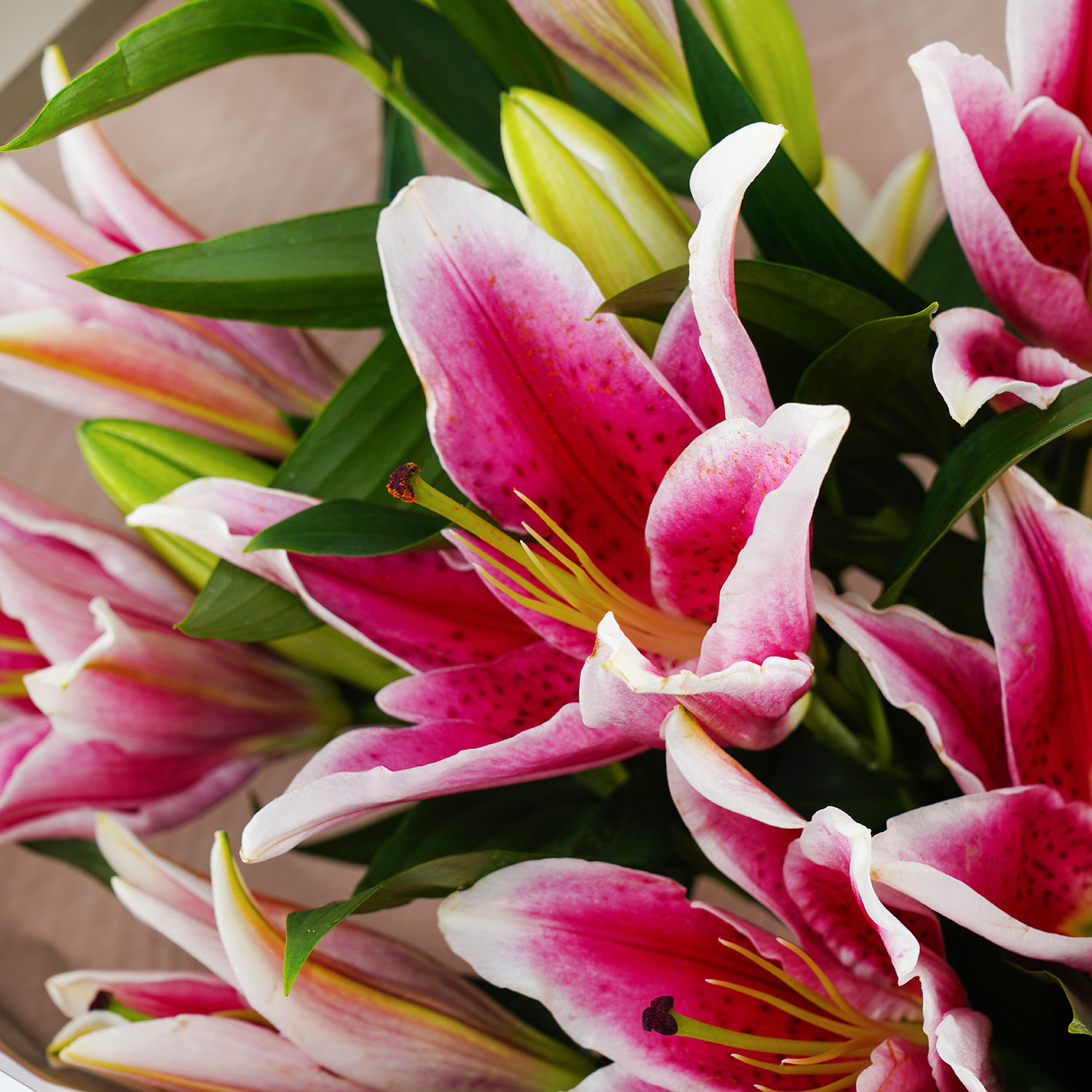 Order Pink Lilies Elegance Bouquet Online | Same-Day Delivery UAE - Fnp.ae