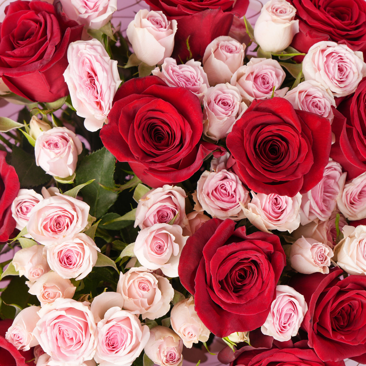 Order Eternal Love Roses Bouquet Online | Same-Day Delivery UAE - Fnp.ae