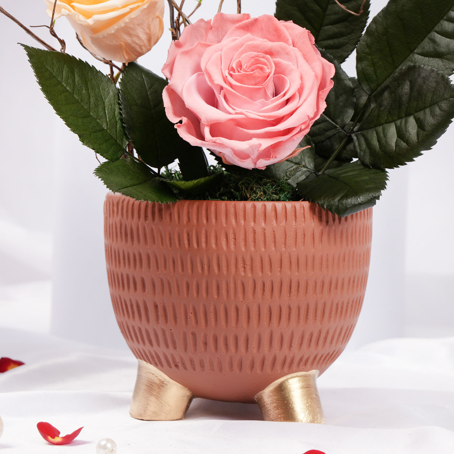 Order Preserved Rose Garden Online | Same-Day Delivery UAE - Fnp.ae