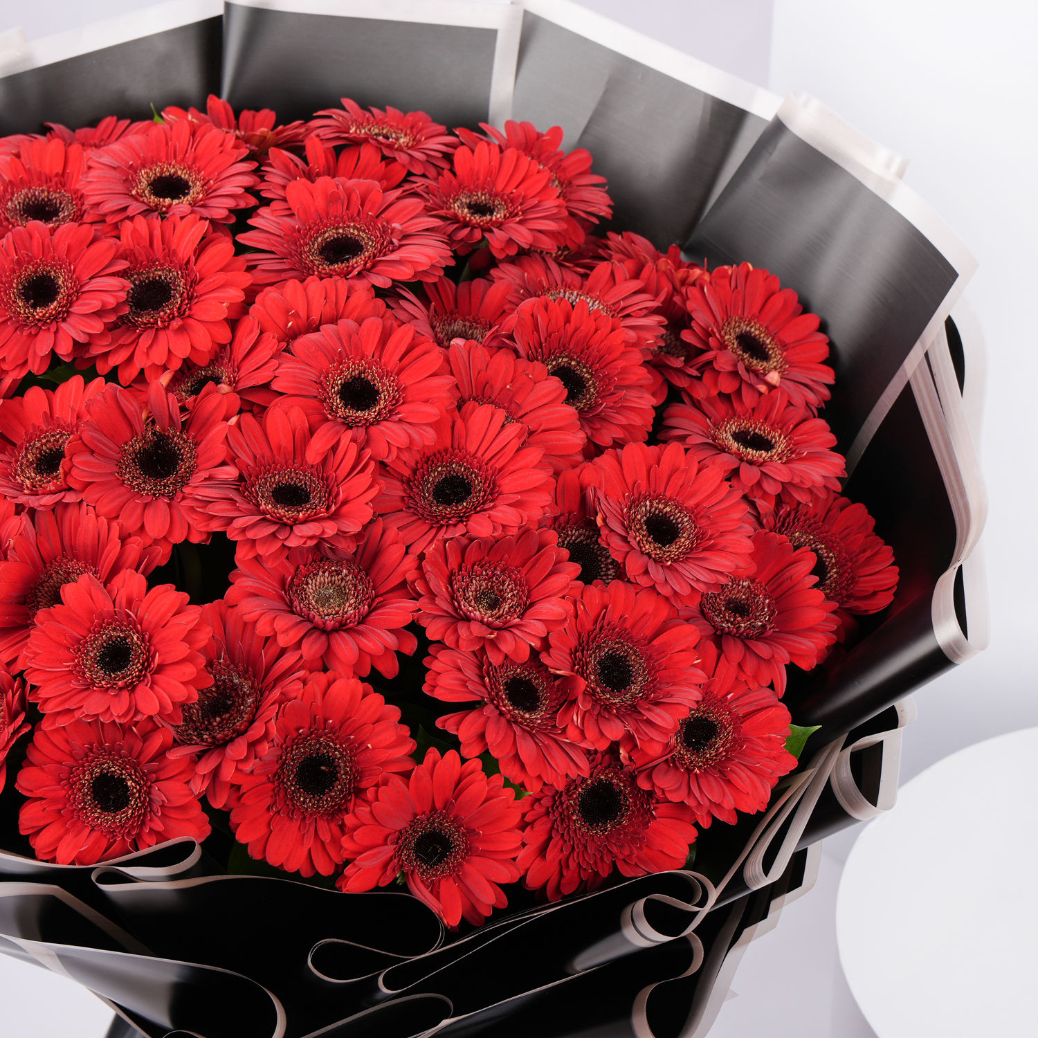 Order 50 Red Gerbera Bouquet Online | Same-Day Delivery UAE - Fnp.ae