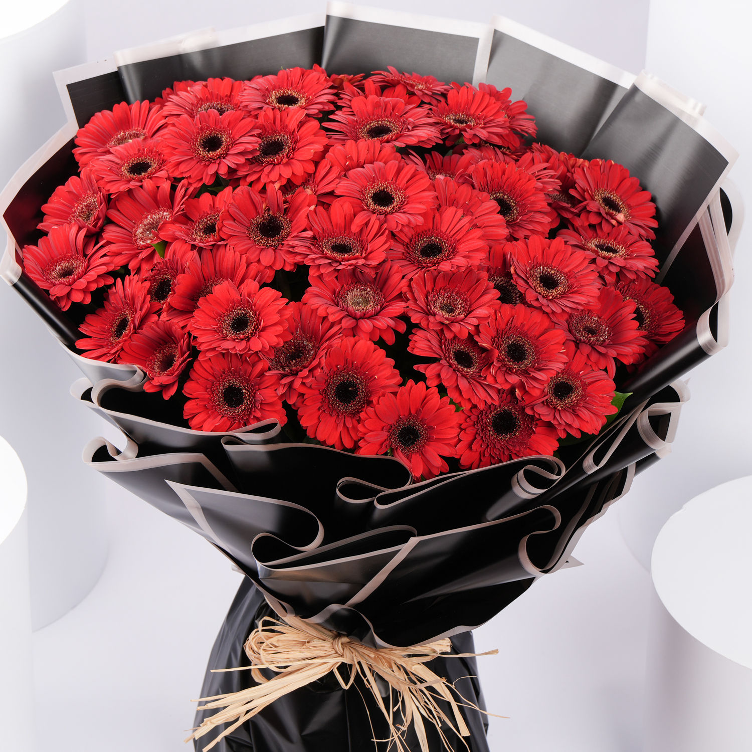 Order 50 Red Gerbera Bouquet Online | Same-Day Delivery UAE - Fnp.ae