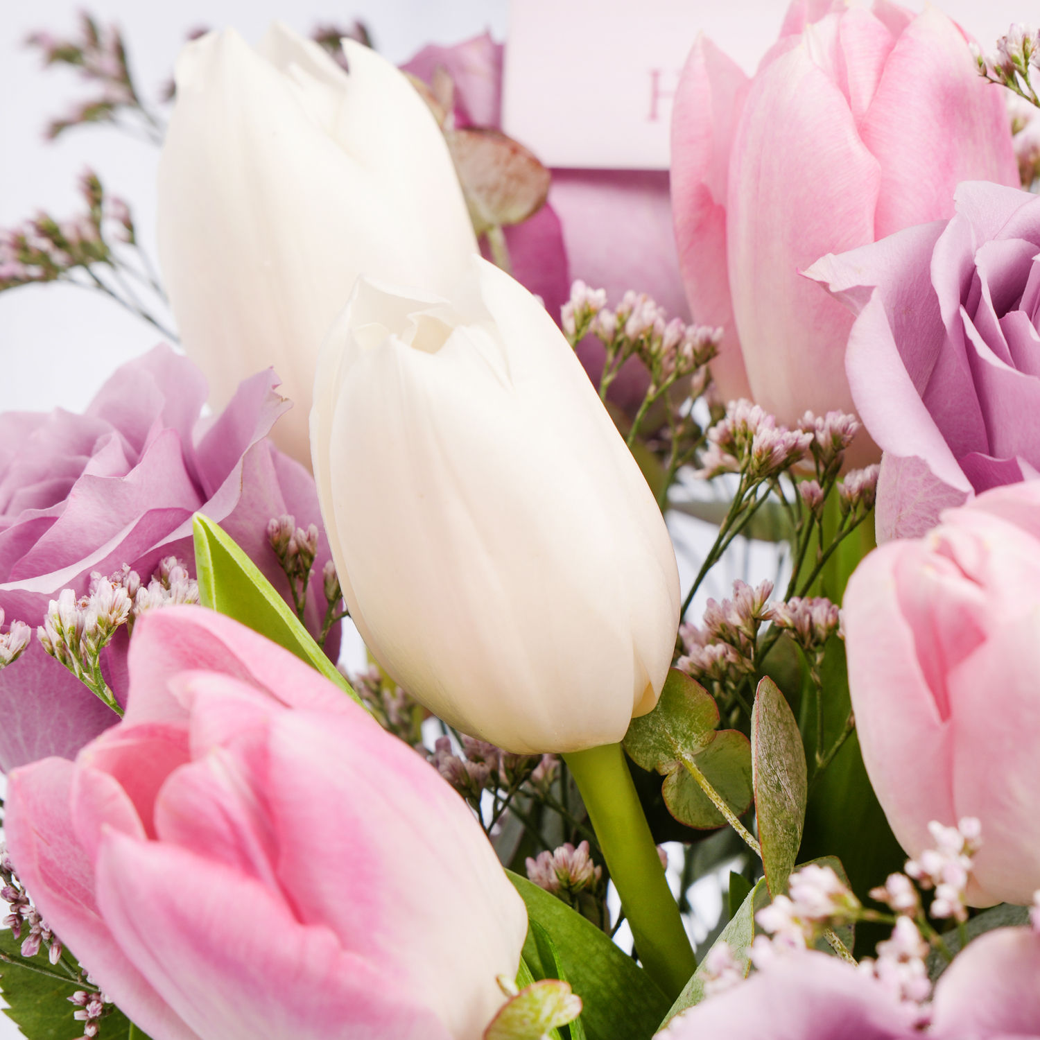 Order Tender Love Rose And Tulips Online | Same-Day Delivery UAE - Fnp.ae