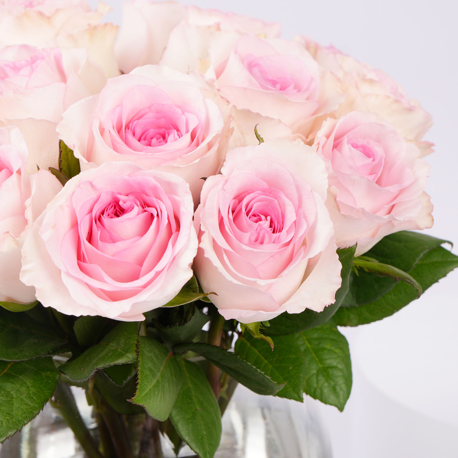 Order Golden Grace for Mom Online | Same-Day Delivery UAE - Fnp.ae