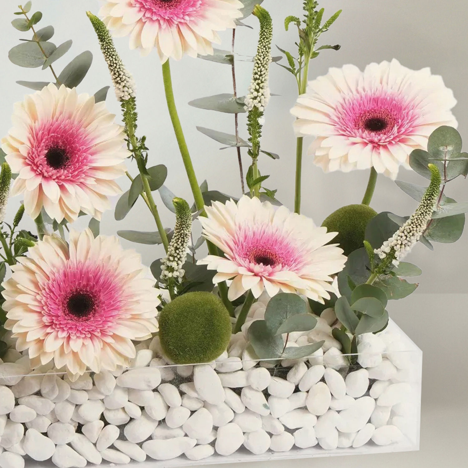 Order Jumeirah Joy Dubai Flowers Online | Same-Day Delivery UAE - Fnp.ae